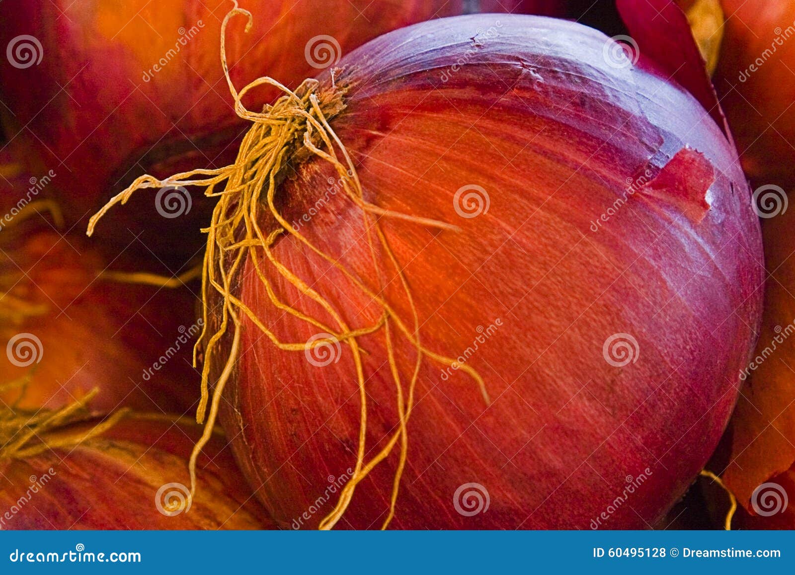 Red onion abstract stock photo. Image of farm, vegetables - 60495128