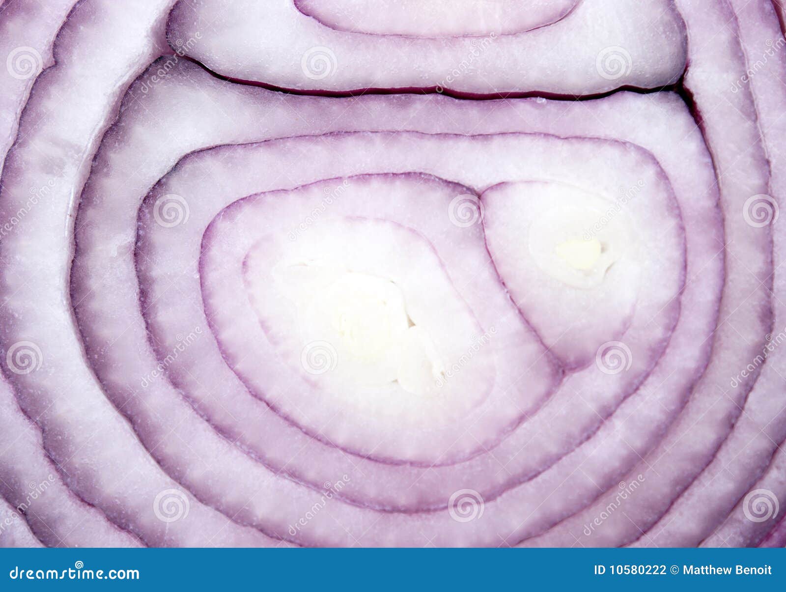 Red Onion Background stock photo. Image of circle, plant - 10580222