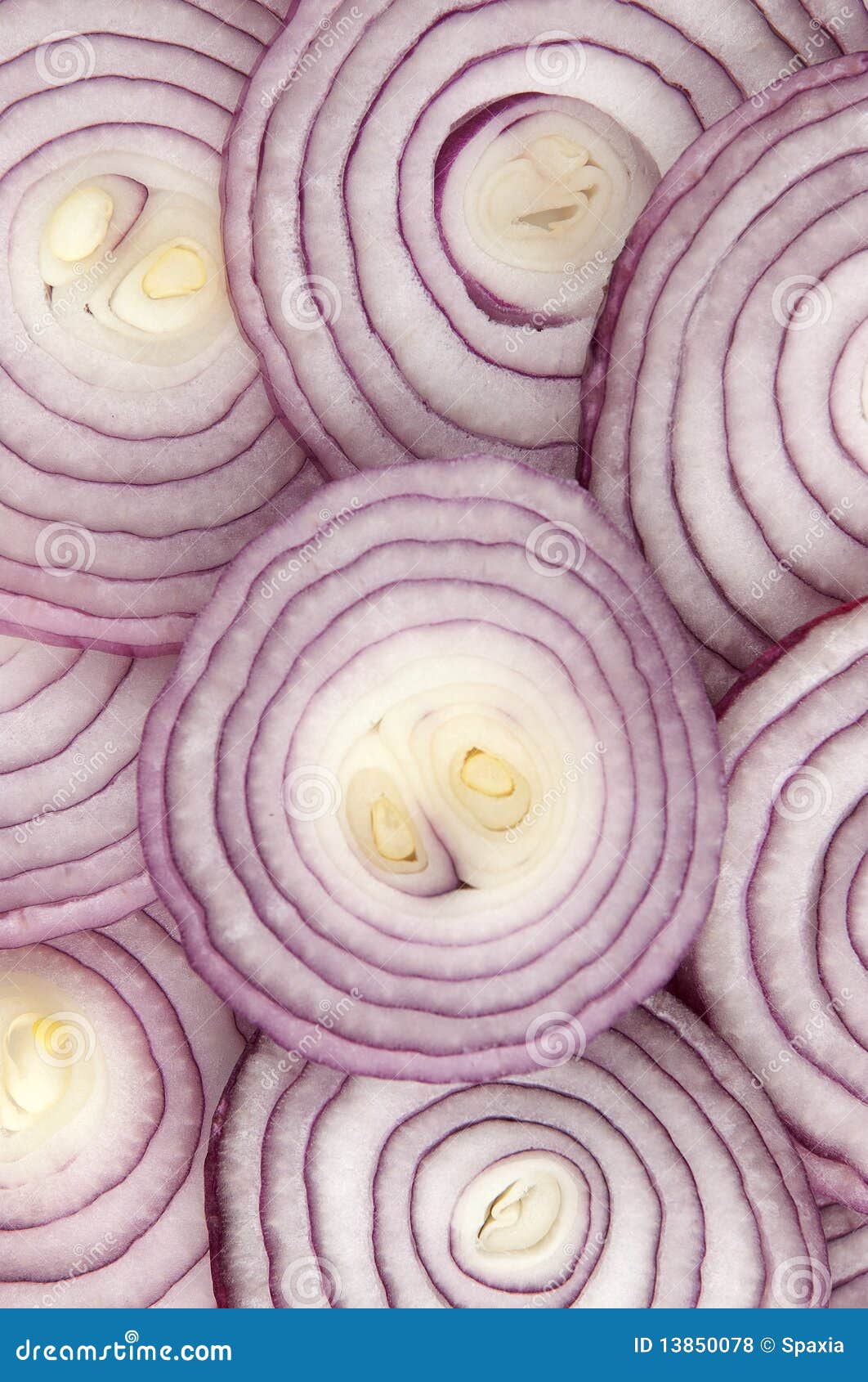 Red onion background stock photo. Image of salad, vegetable - 13850078