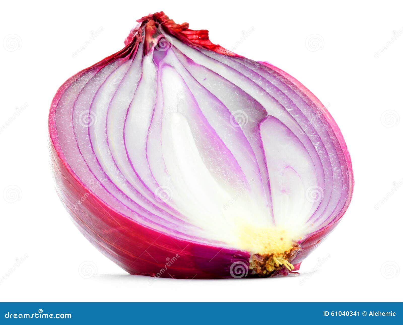 Red Onion Bulb Half Cut Vertical Longitudinal Section Isolated Stock ...
