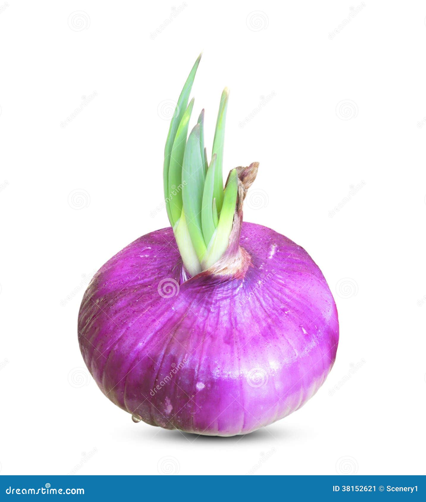 Red onion stock image. Image of grocery, flavoring, organic - 38152621