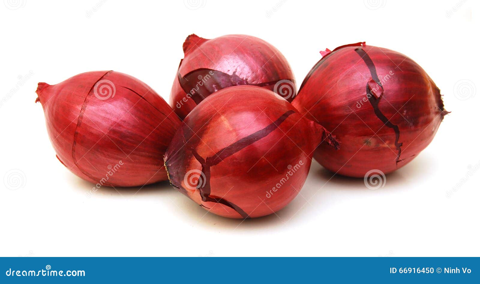 Red onion bulb stock photo. Image of agriculture, spice - 66916450