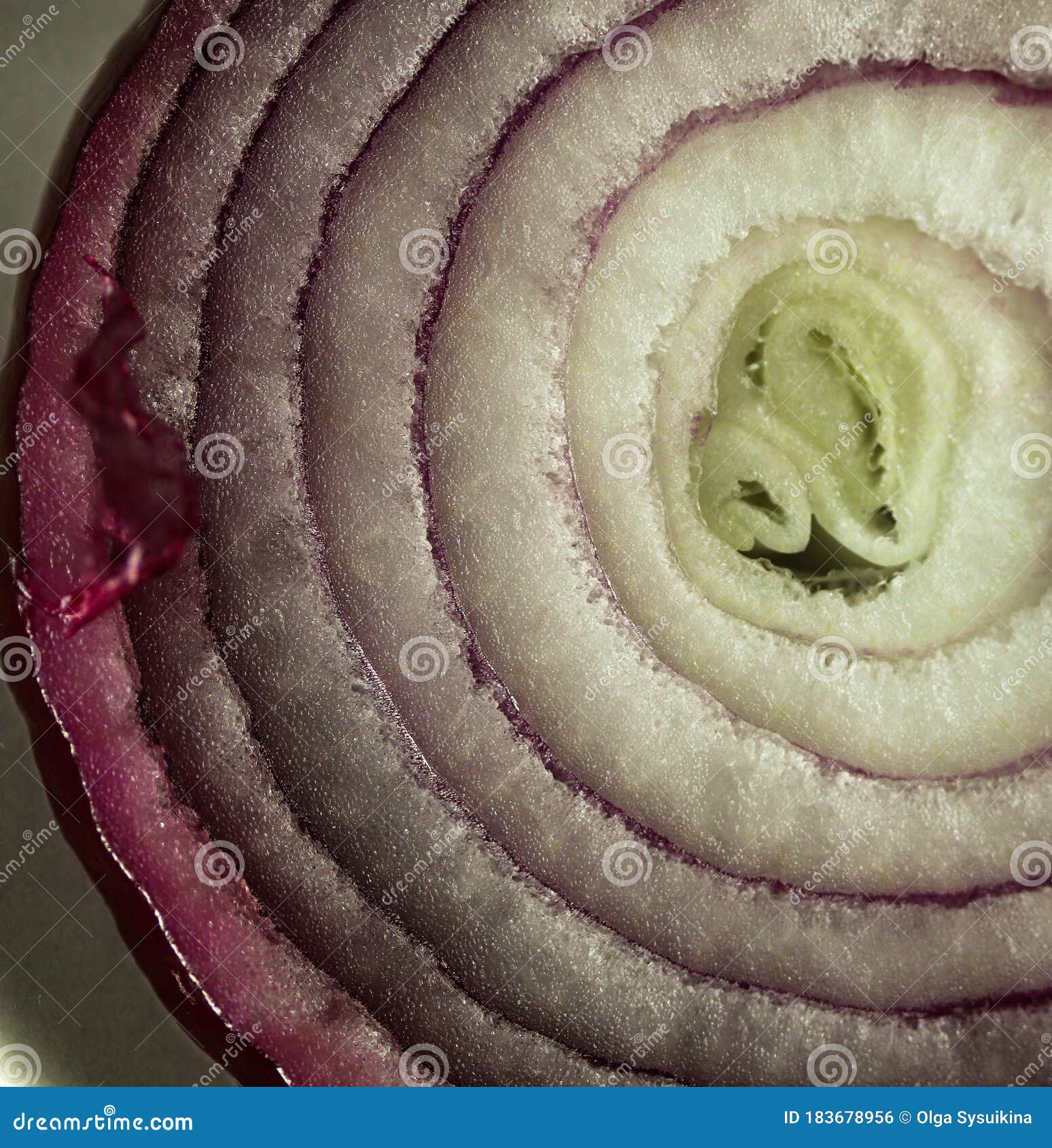 Texture of Onion Macro Photo Stock Photo - Image of healthy, textures ...