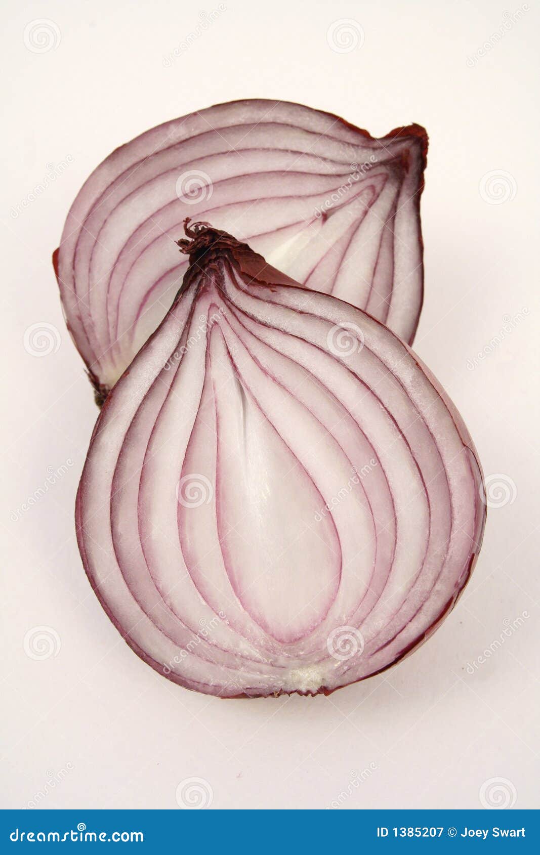 Cut Onion Sketch
