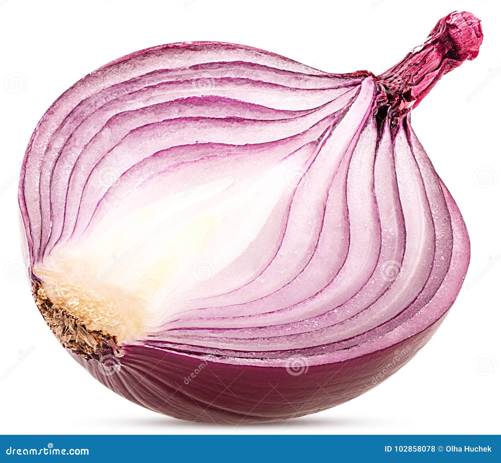 Red onion cut in half stock photo. Image of vegetarian - 102858078 Red onion cut in half stock photo. Image of vegetarian - 102858078