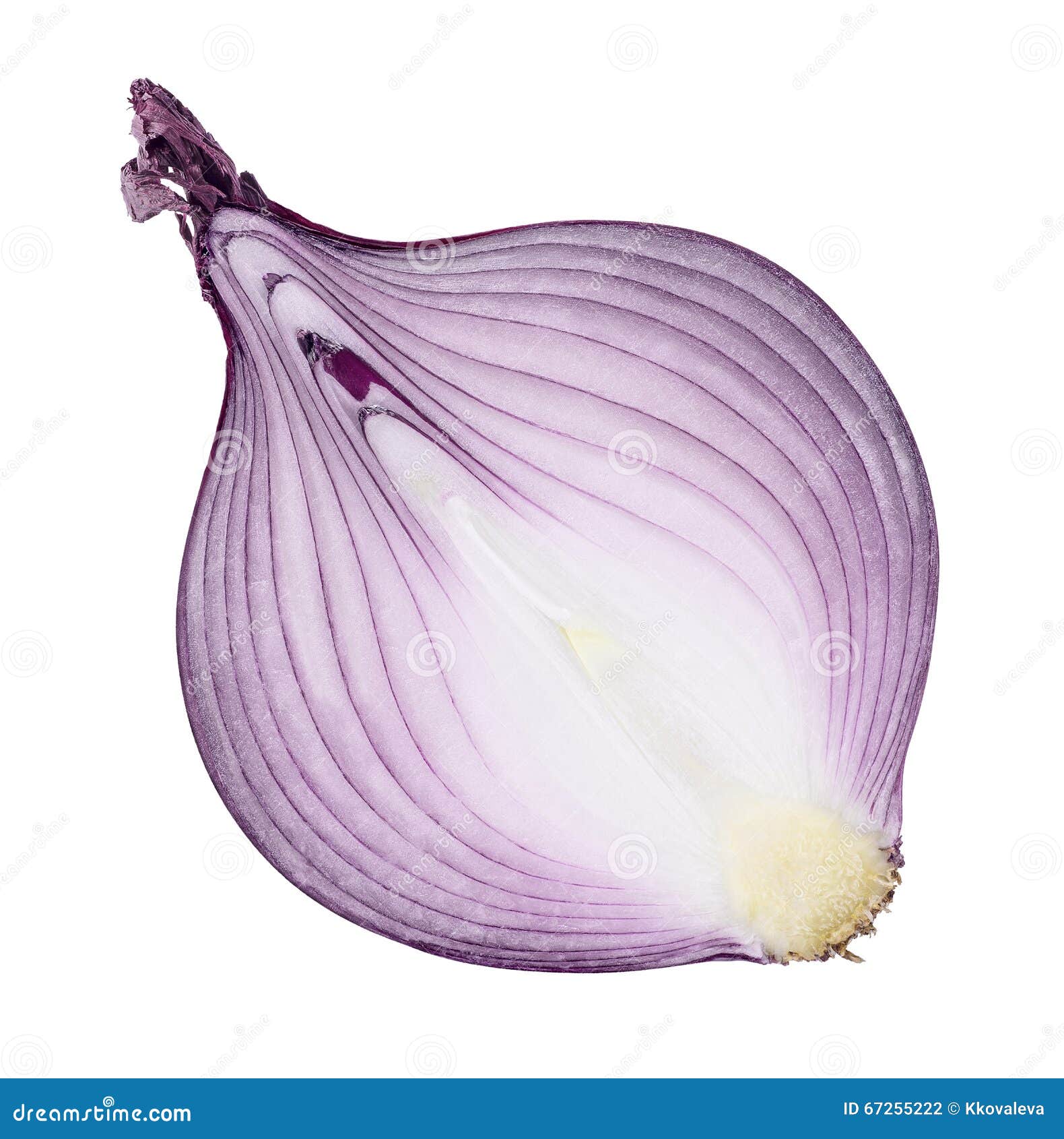 389 Red Onion Pack Stock Photos - Free & Royalty-Free Stock Photos from ...