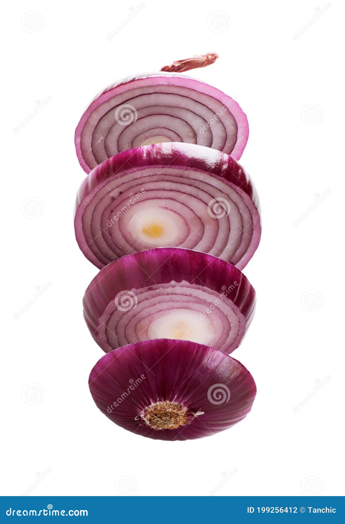 Red Onion Cut into Rings Isolated, Bottom View Stock Photo - Image of ...