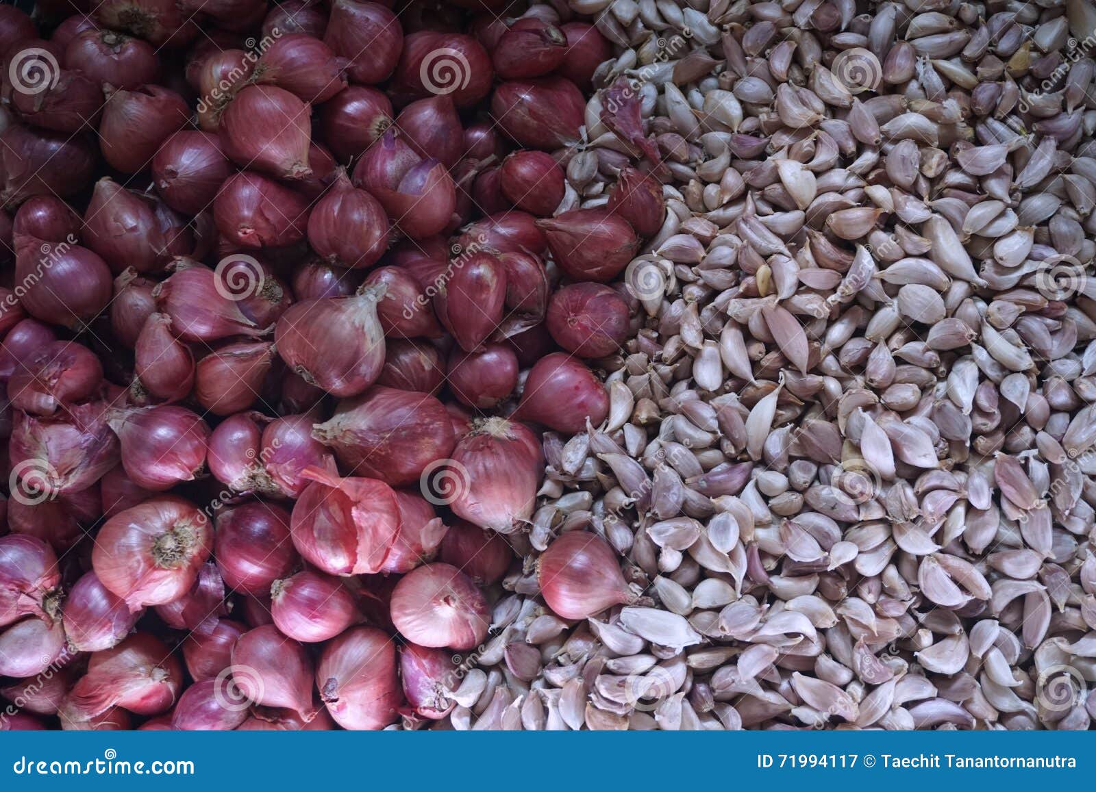 Red onion and garlic stock image. Image of ingredient - 71994117
