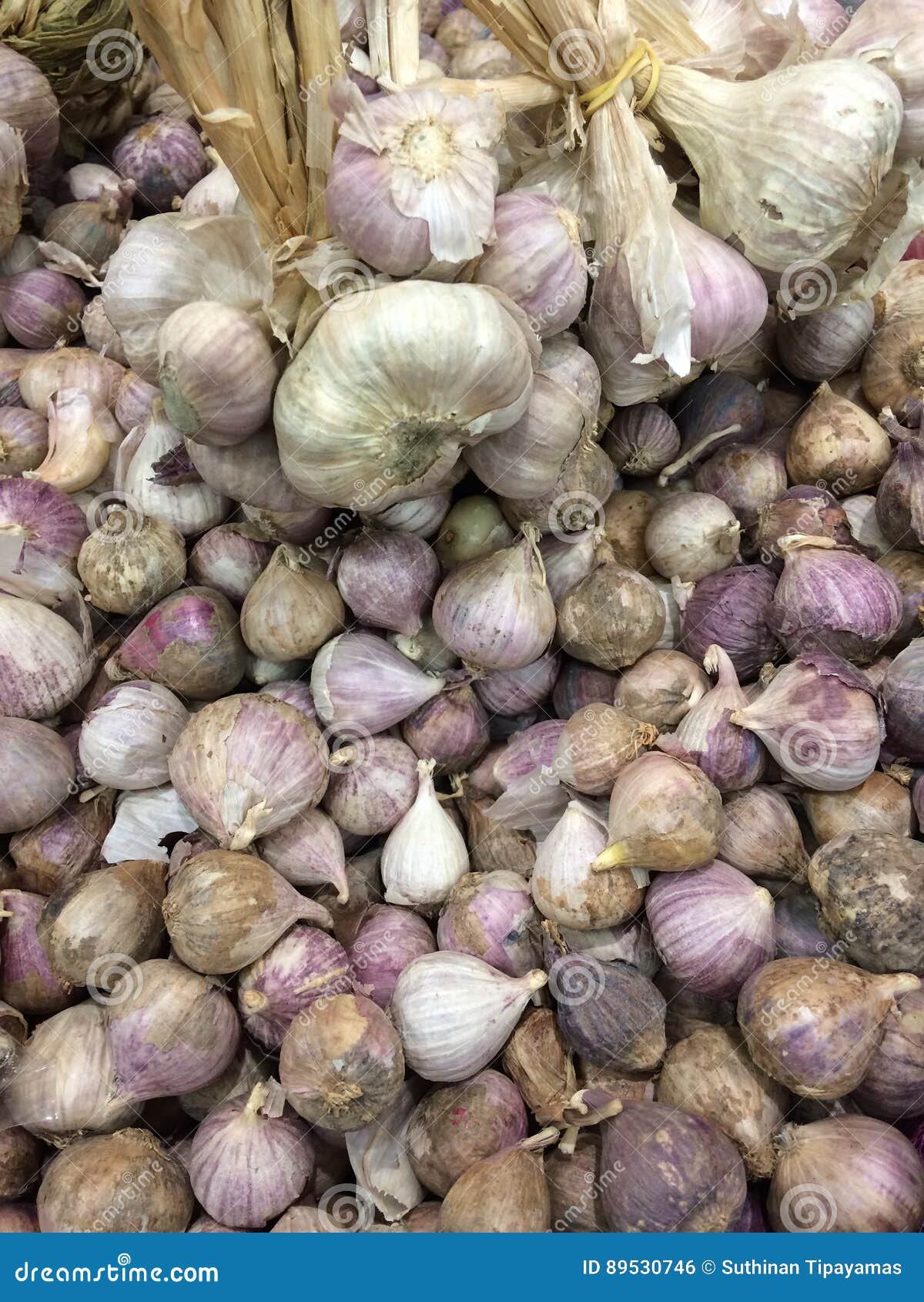 Red onion & Garlic stock photo. Image of bulb, organic - 89530746