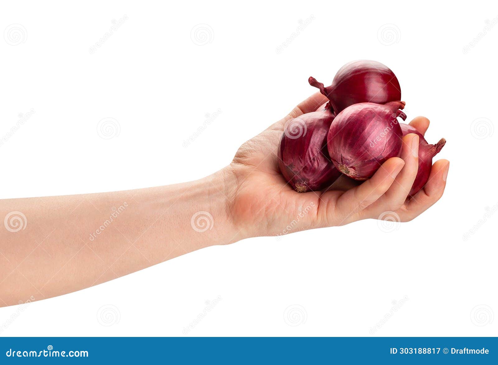 Red onion in hand stock image. Image of studio, cutout - 303188817