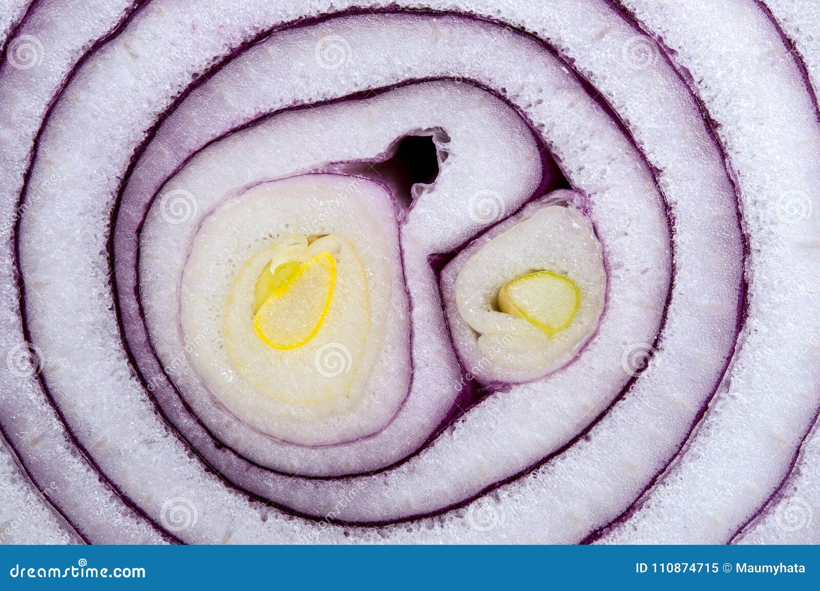 Red onion isolated stock image. Image of natural, peel - 110874715