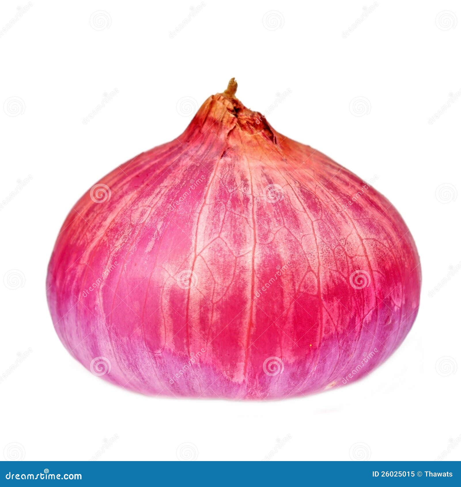 Red onion isolated stock image. Image of onion, ripe - 26025015