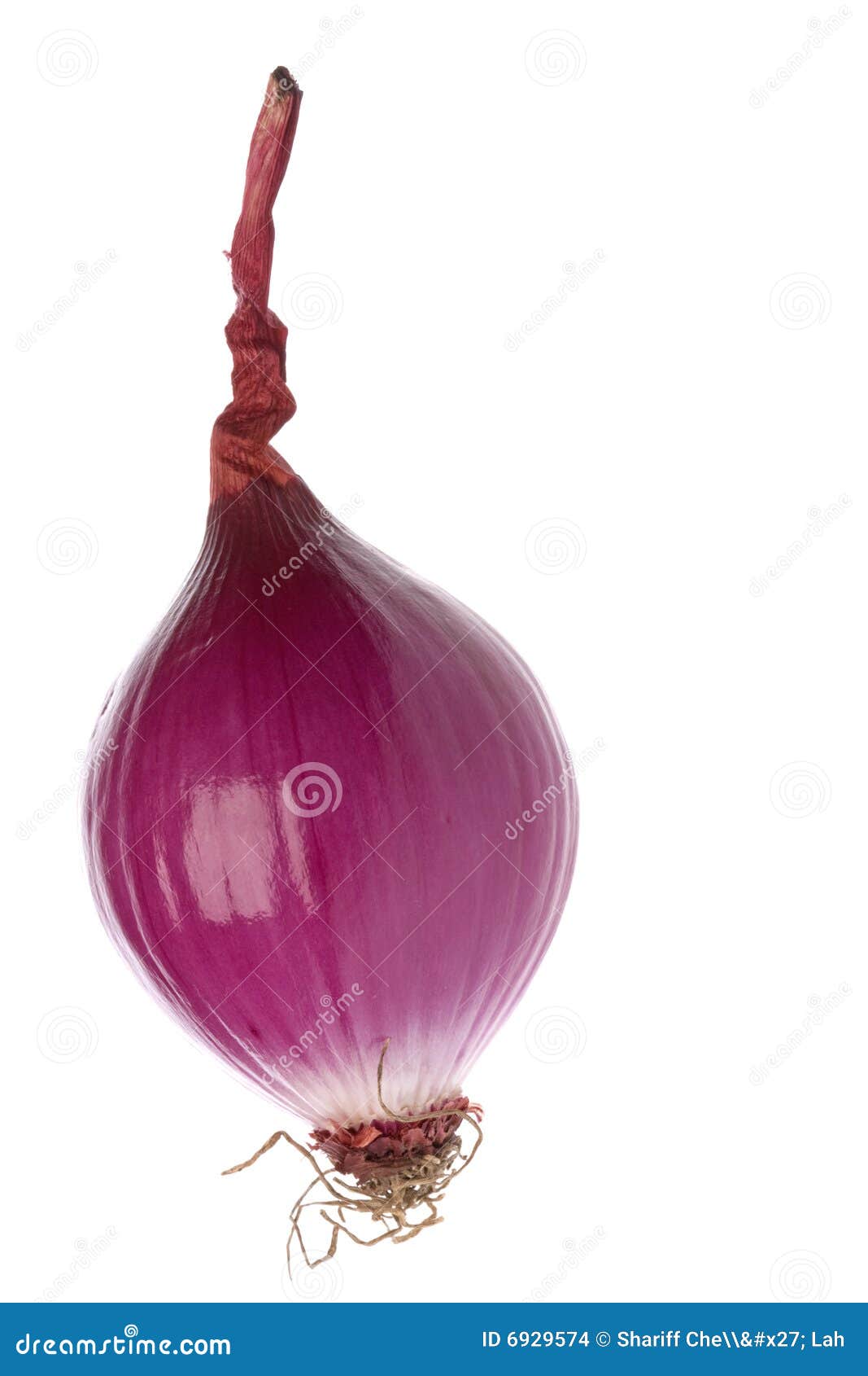 Red Onion Isolated stock photo. Image of flavor, pepper - 6929574