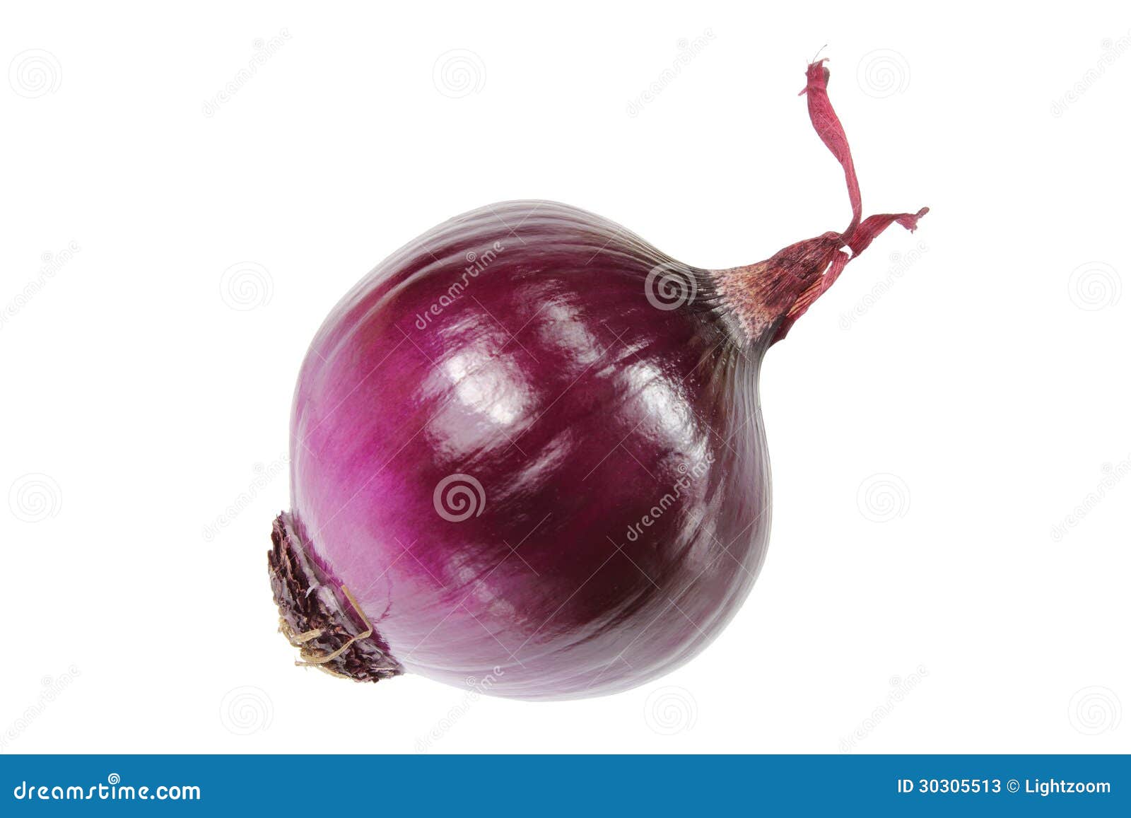 Red Onion stock image. Image of food, studio, still, flavour - 30305513