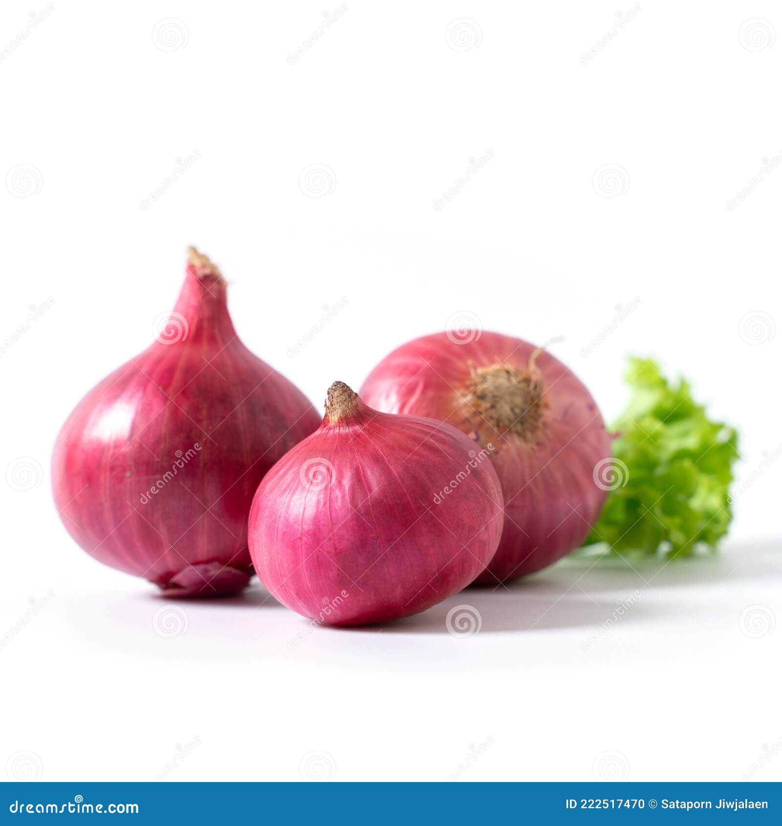 Red Onion Isolated on White Stock Photo - Image of vegetable ...
