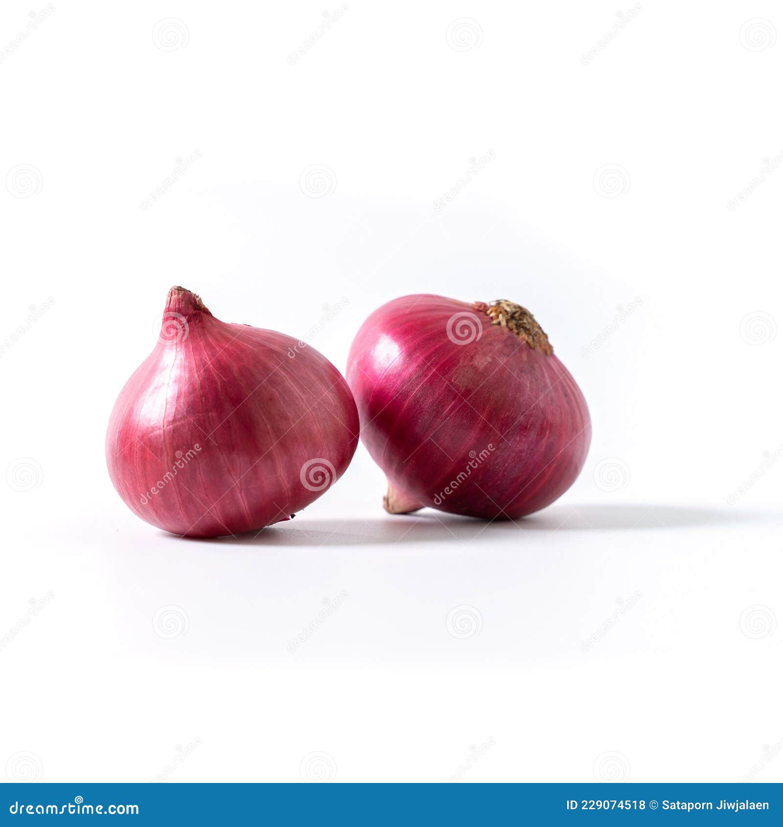 Red Onion Isolated on White Stock Photo - Image of plant, ingredient ...