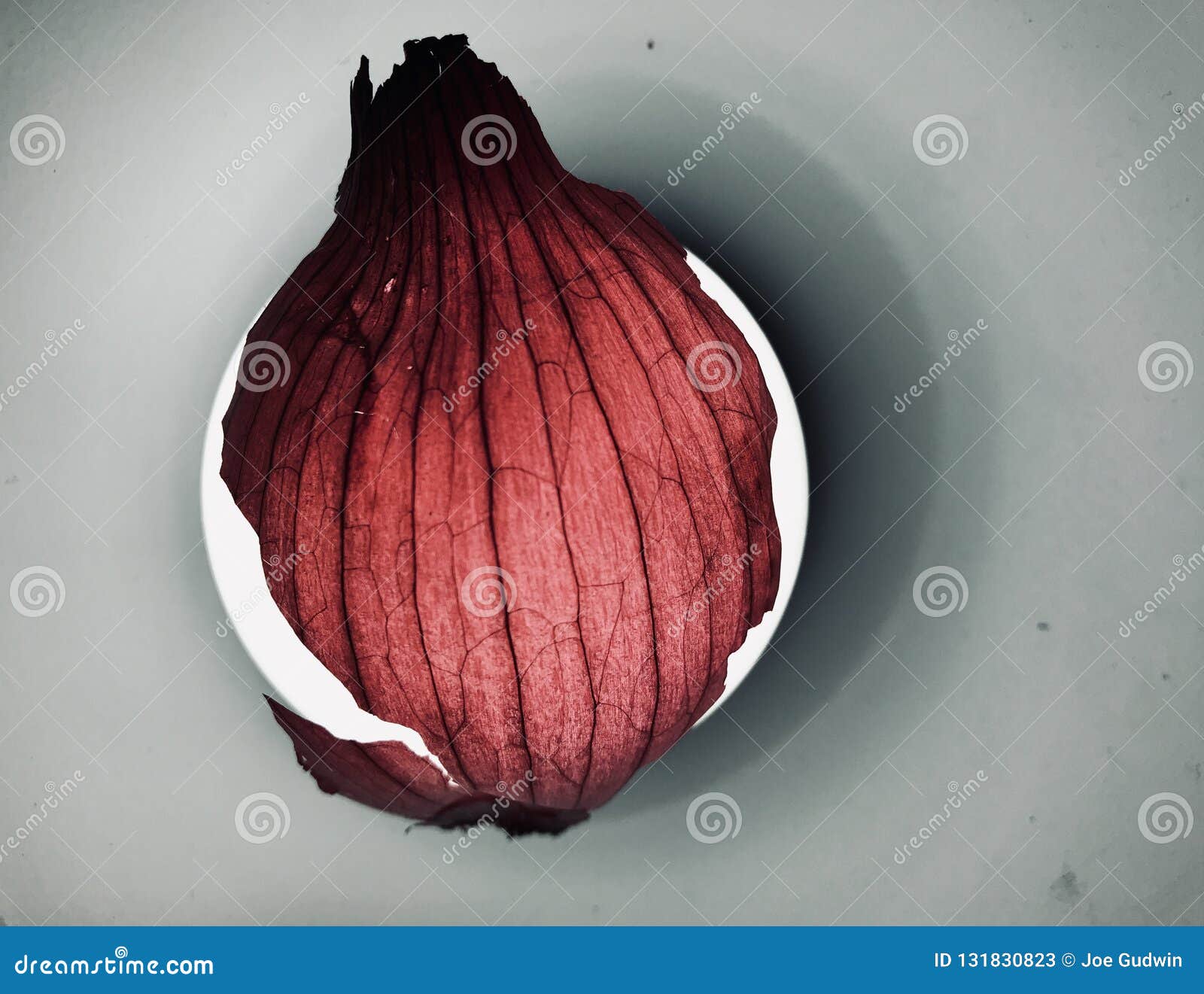 Onion stock image. Image of light, vegatable, freshonion - 131830823