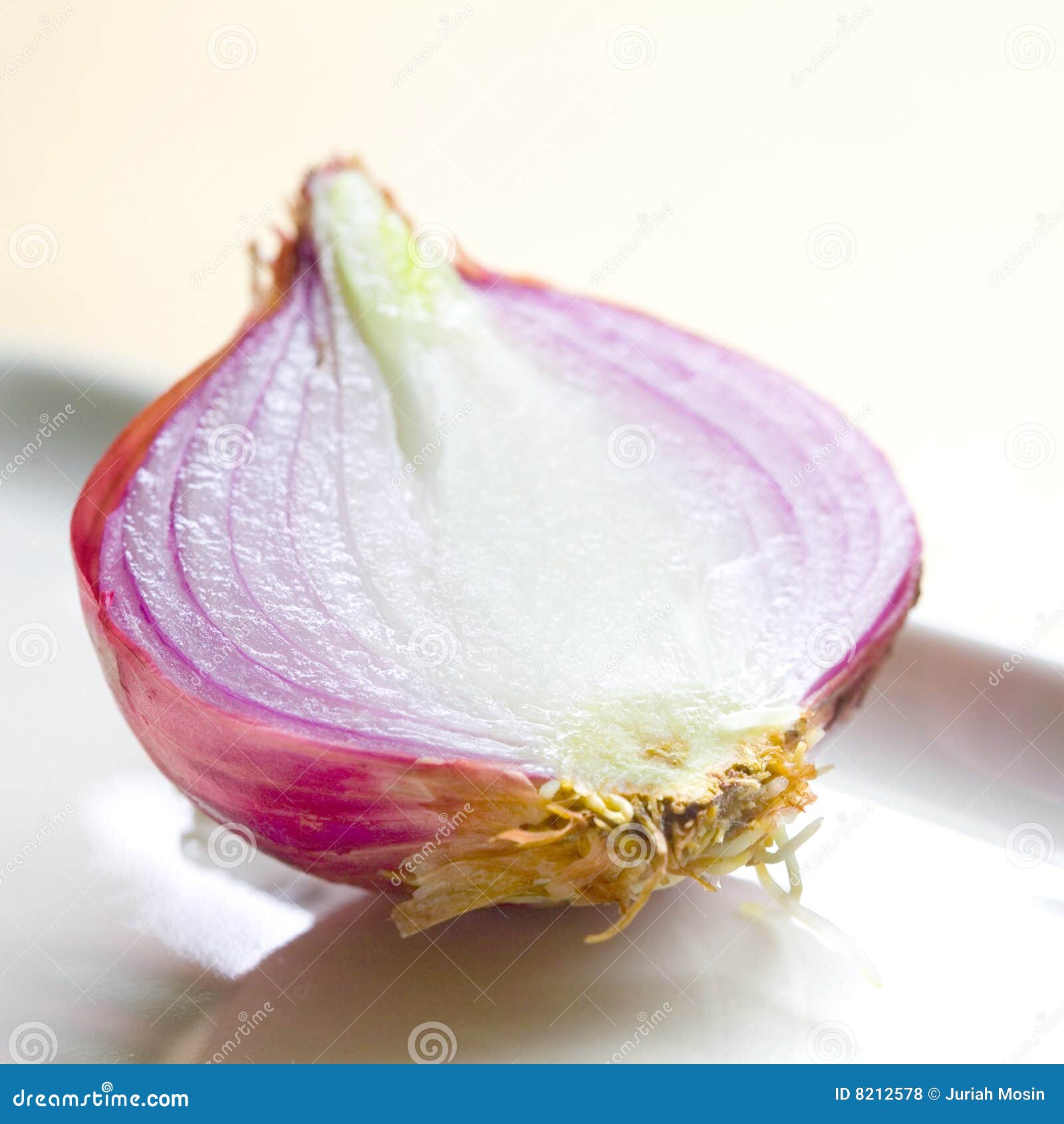 Red onion on plate stock photo. Image of root, organic - 8212578