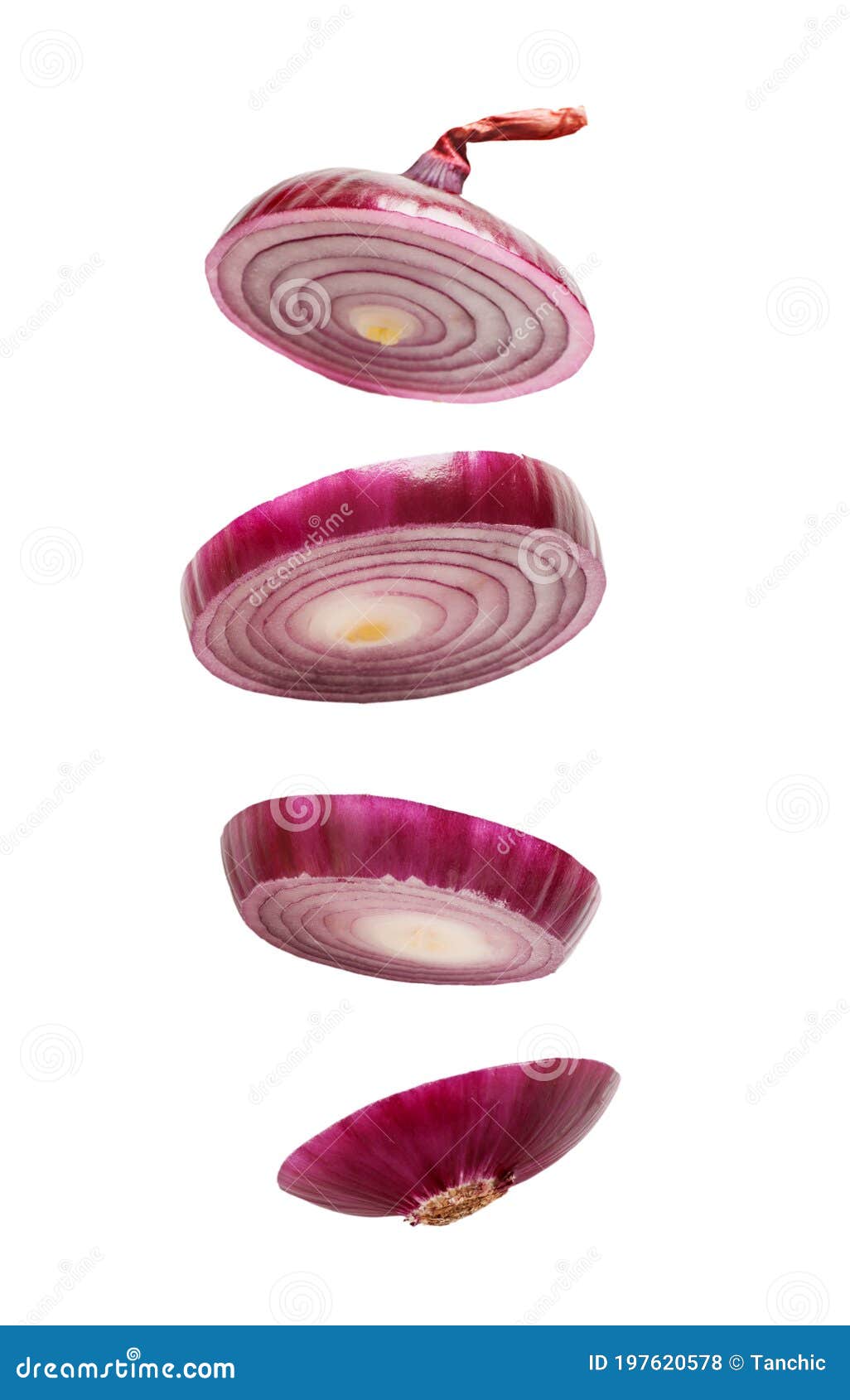 Red Onion Rings Falling in Slices Bottom View Isolated on White ...