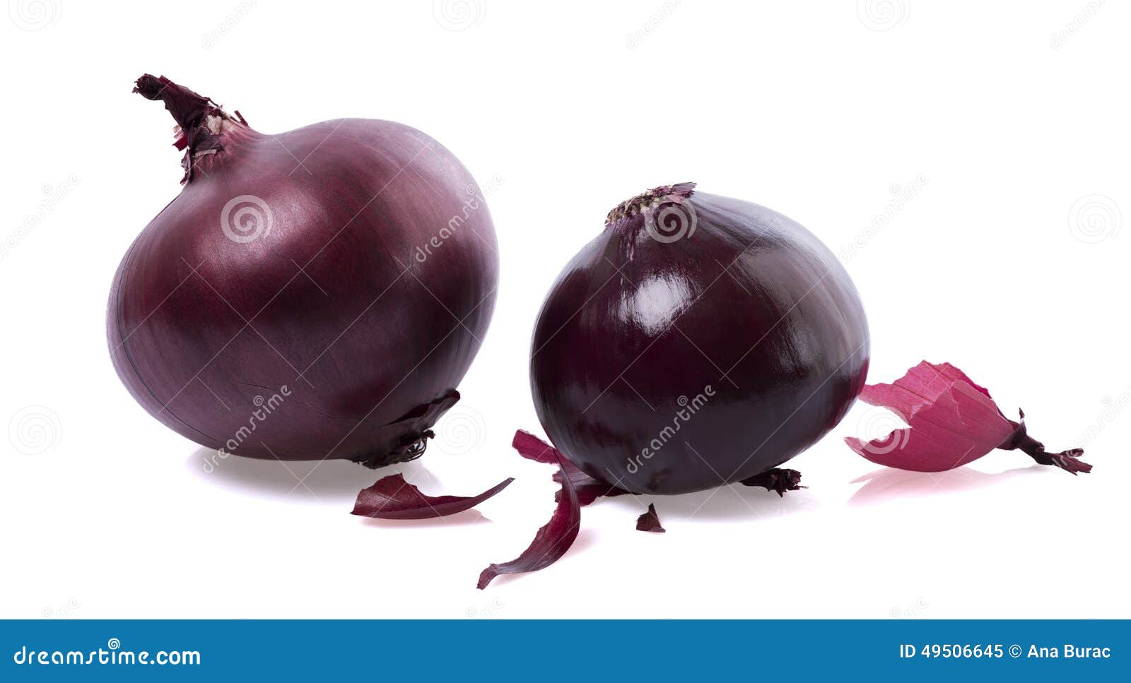 Red onion with shell stock image. Image of full, nature - 49506645