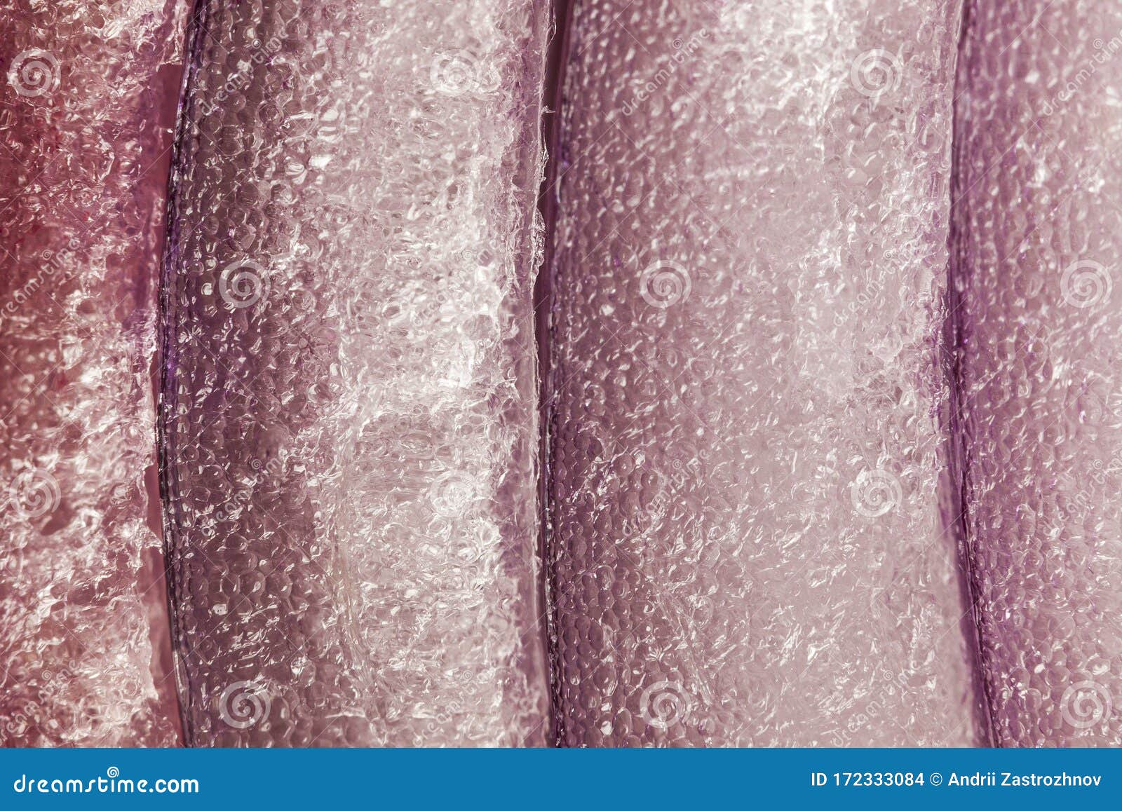 Red Onion Slice in Microscope. Plant Cells Texture, Pattern Stock Photo ...