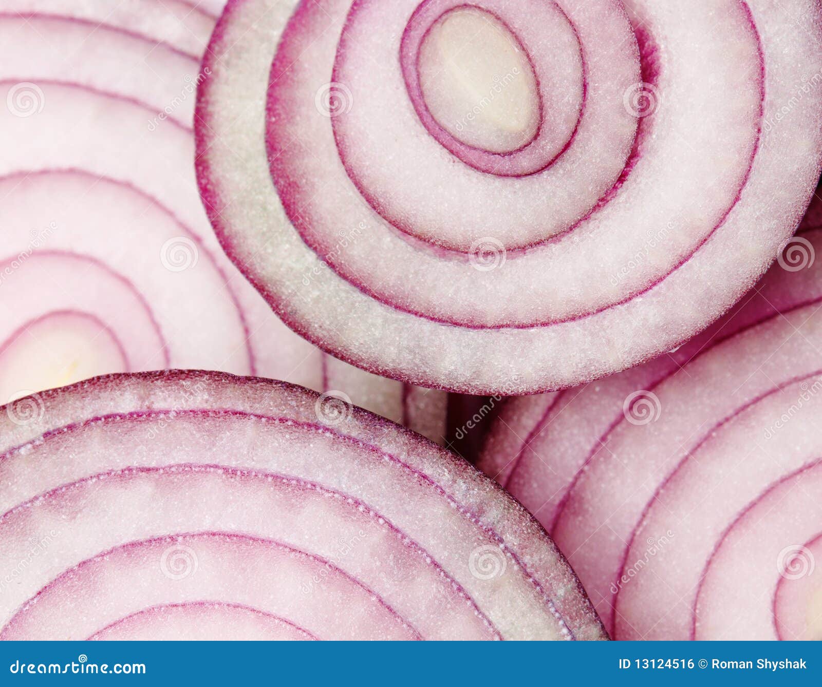 Red onion slices stock photo. Image of descriptive, onion - 13124516