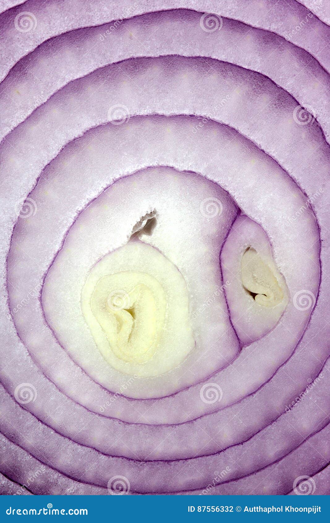 Red onion slices stock photo. Image of vegetable, food - 87556332