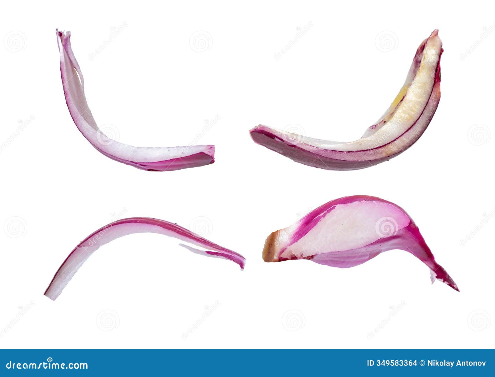 Red Onion Slices Isolated on a White Background Stock Photo - Image of ...