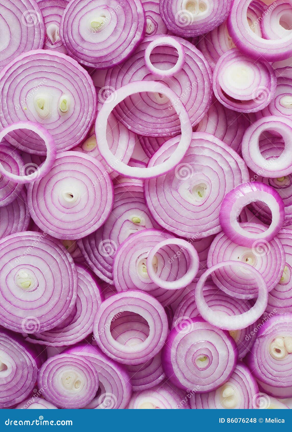 Red Onion Slices stock photo. Image of circular, edible - 86076248