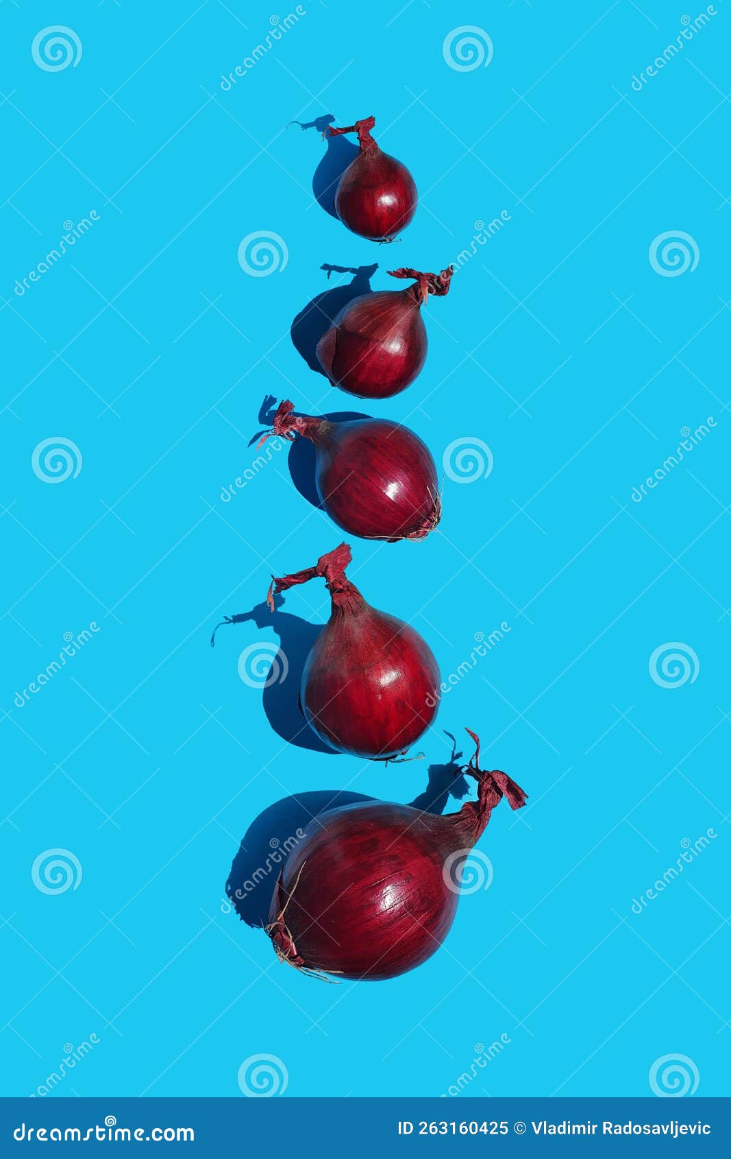 Red Onion Vertical Composition on Bright Blue Background. Top View Flat ...