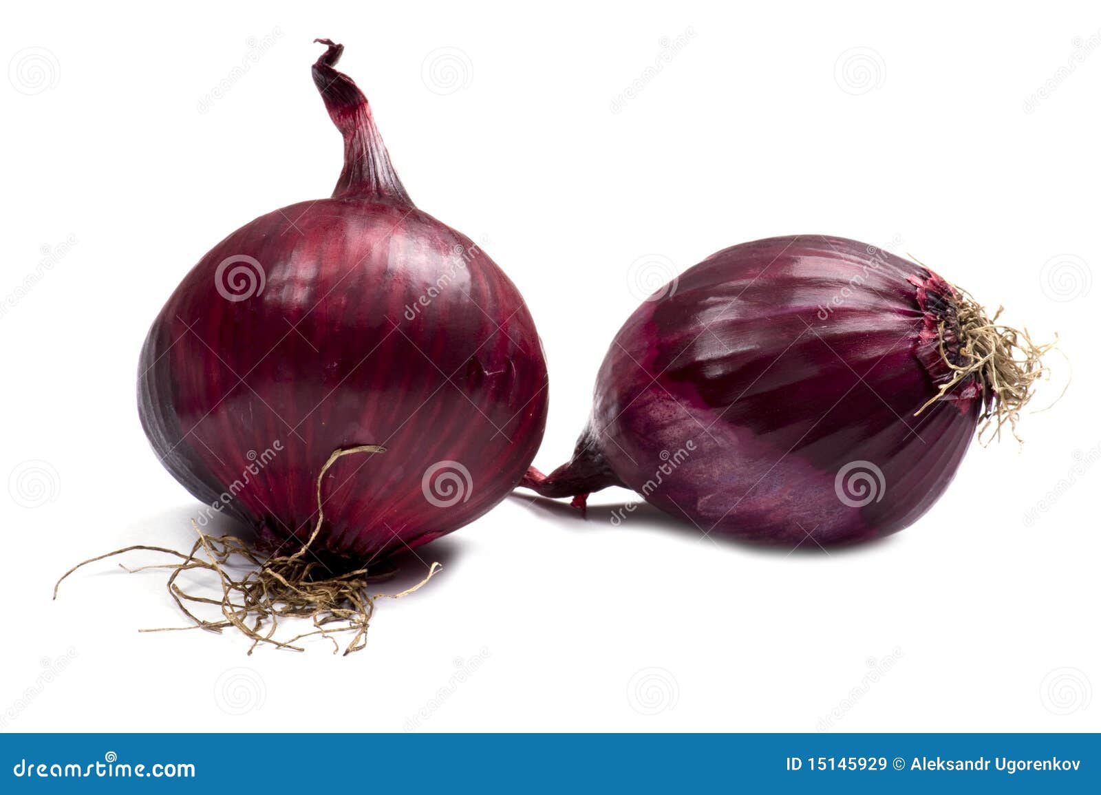 Red onion on white stock image. Image of ripe, ingredient - 15145929