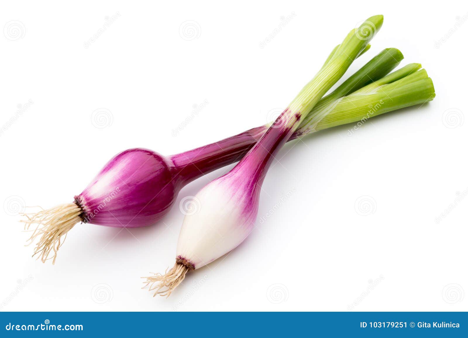 Green Onion on the White Background. Stock Image - Image of onions ...