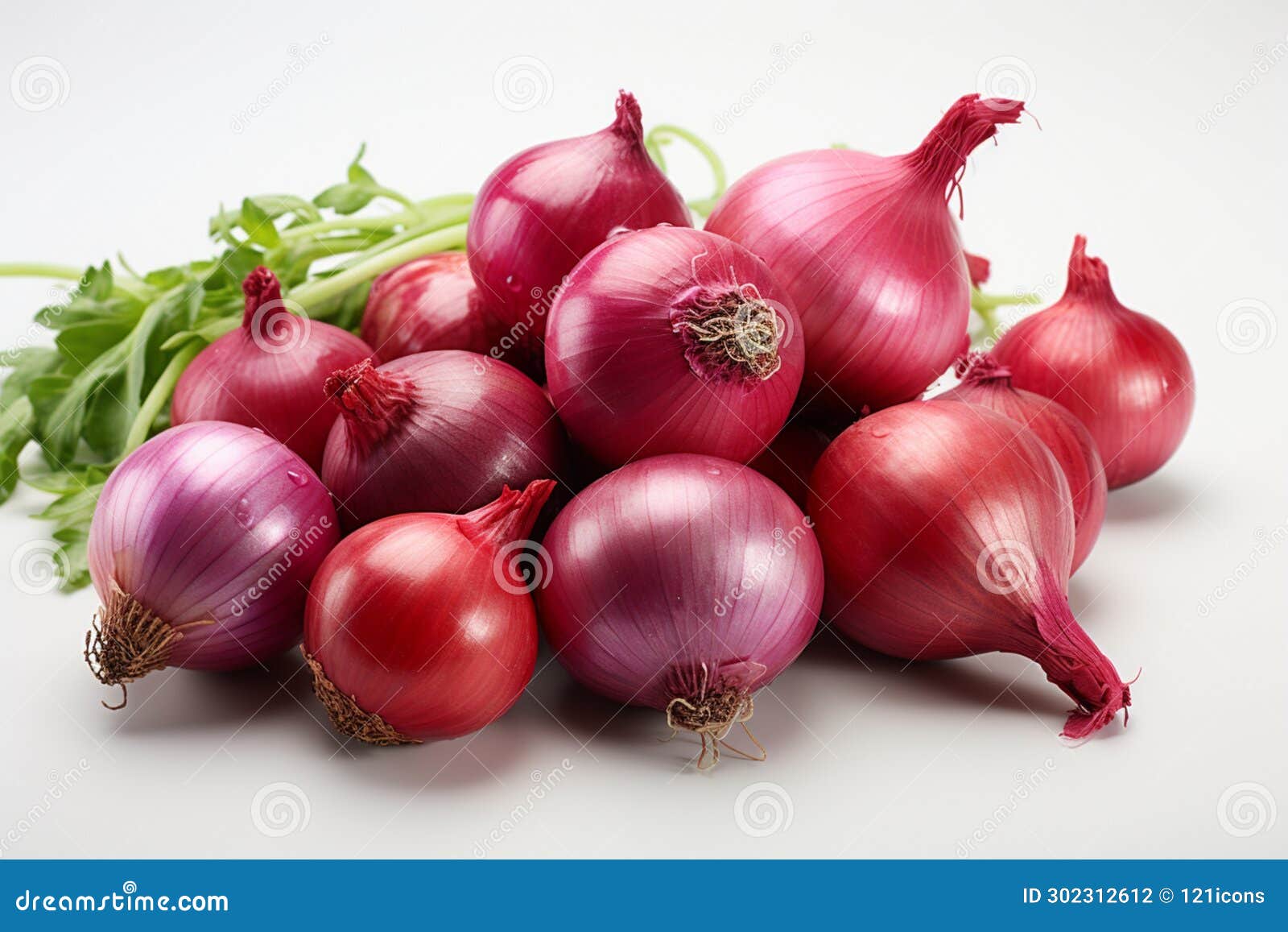 Red Onion on White Background Stock Illustration - Illustration of ...