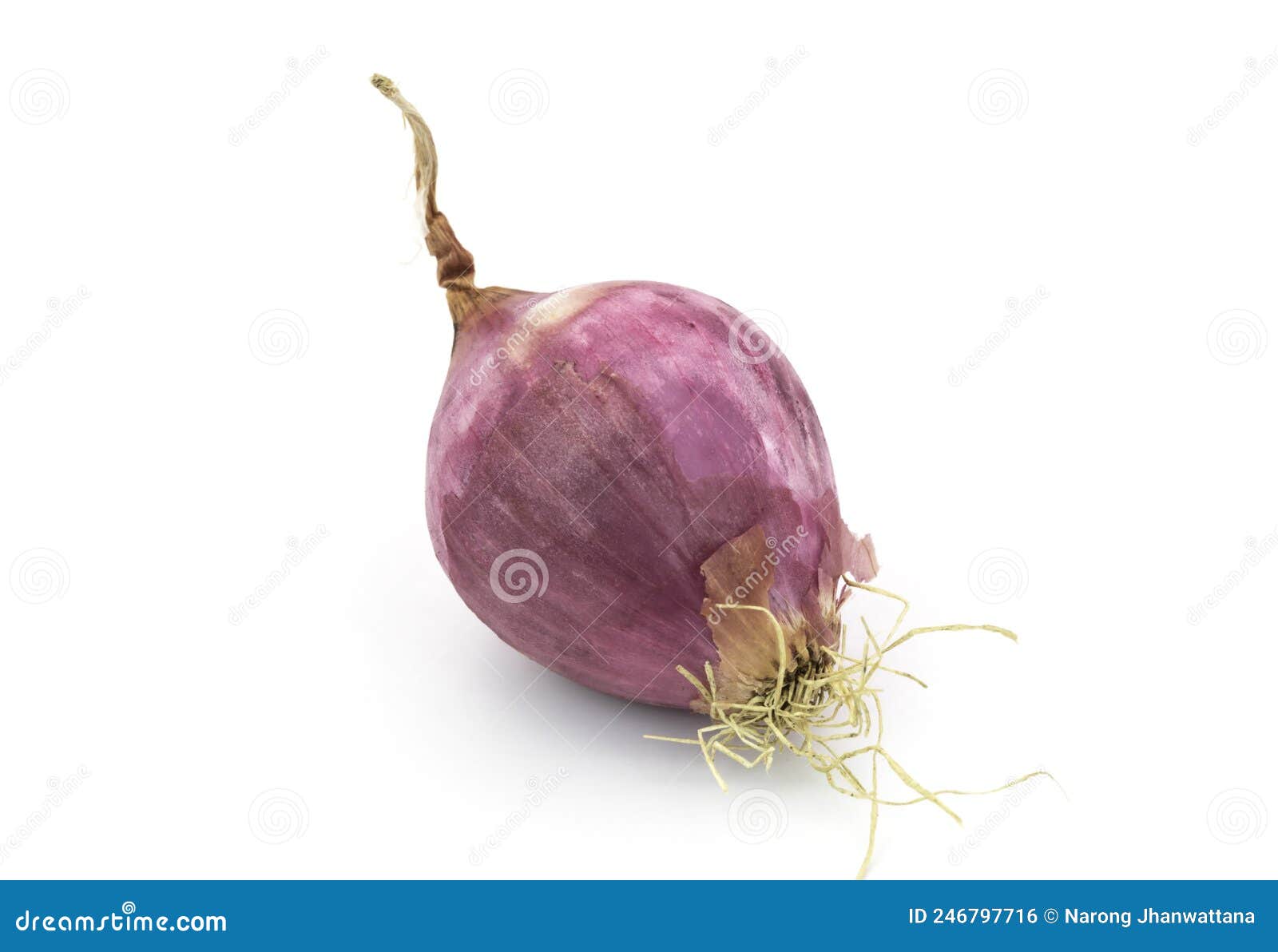 Red Onion on White Background Stock Photo - Image of bulb, isolated ...