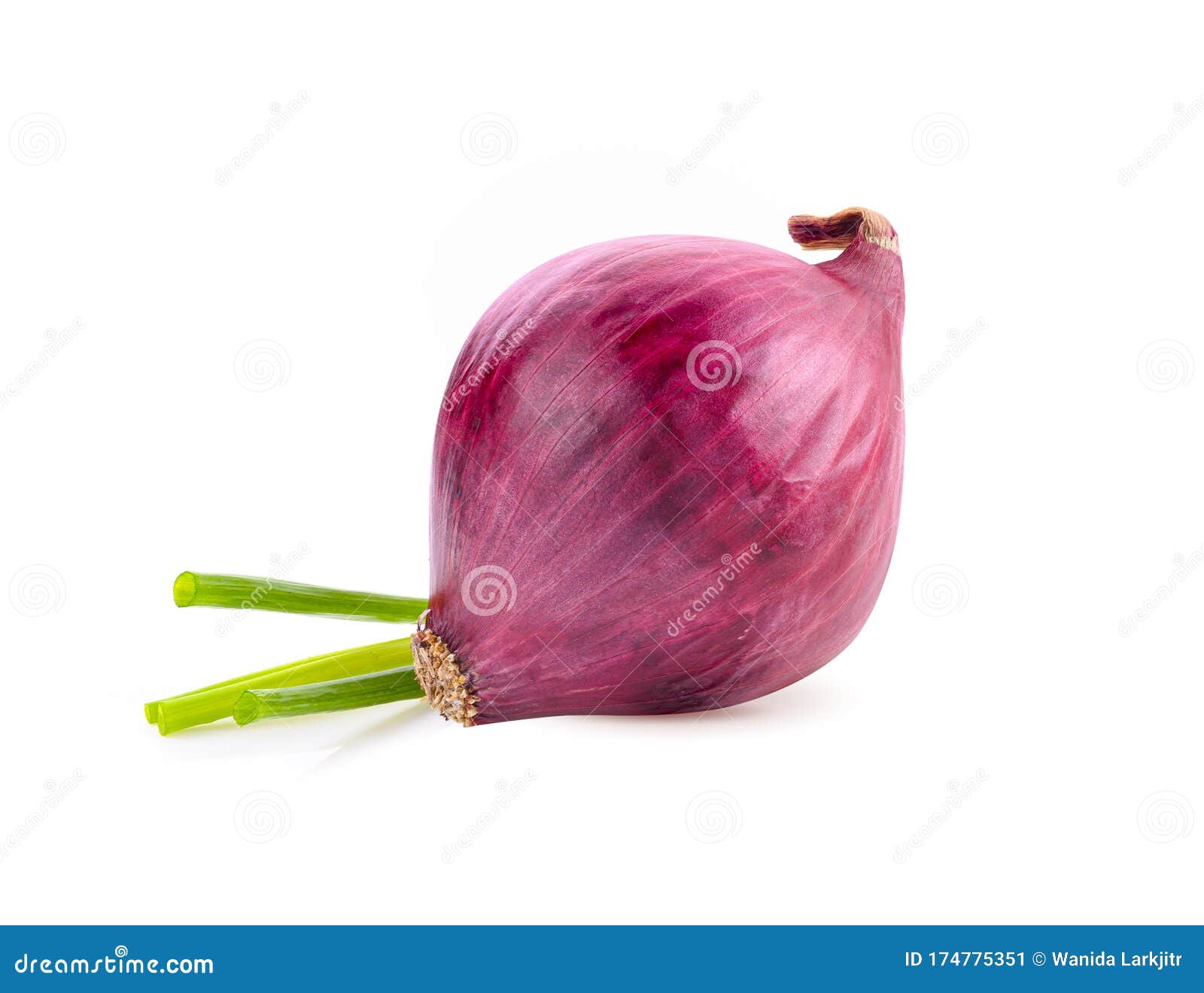 Red Onion on White Background Stock Image - Image of object, diet ...