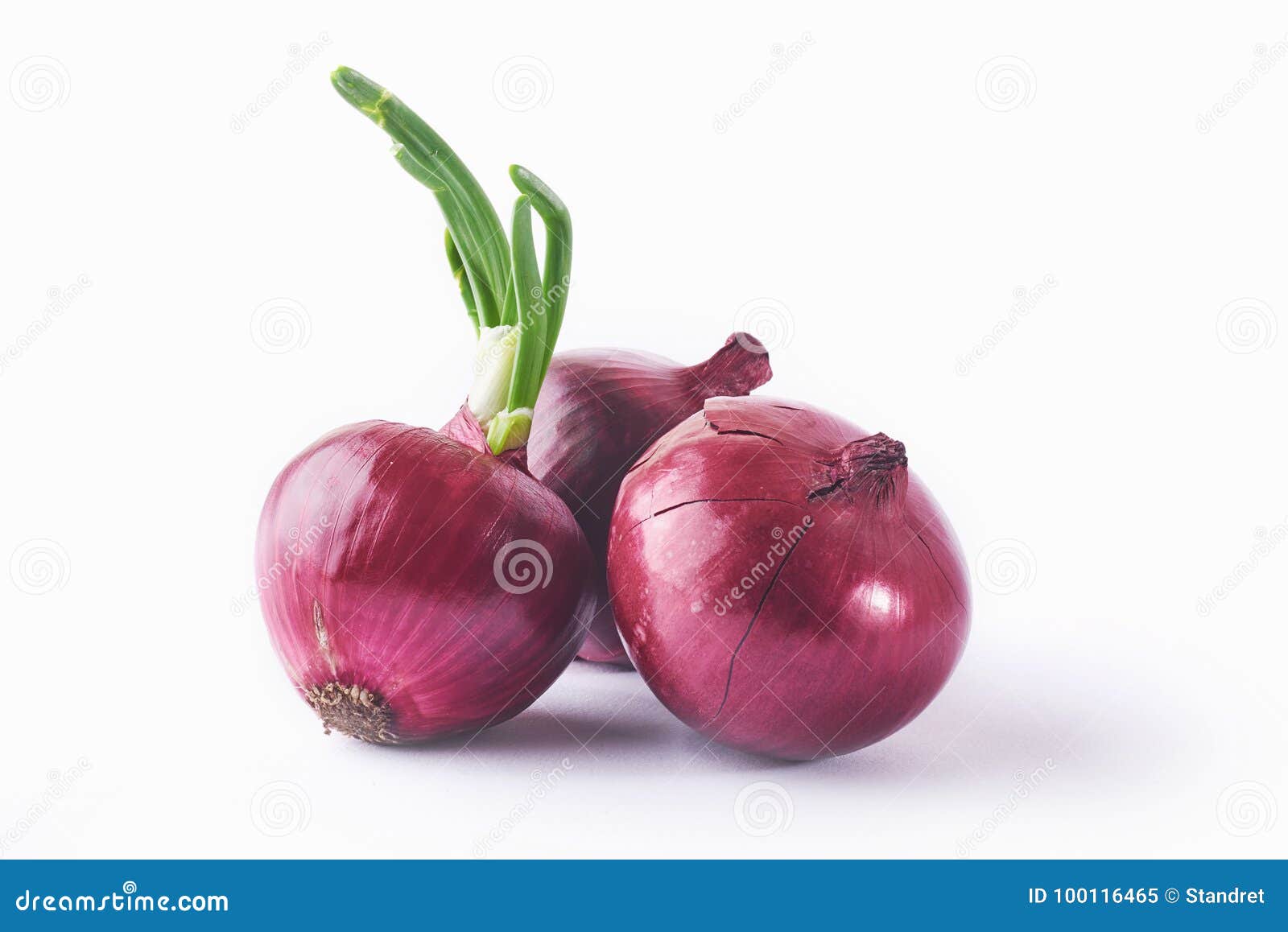 Red Onion Whole, Isolated on White Background Stock Image - Image of ...