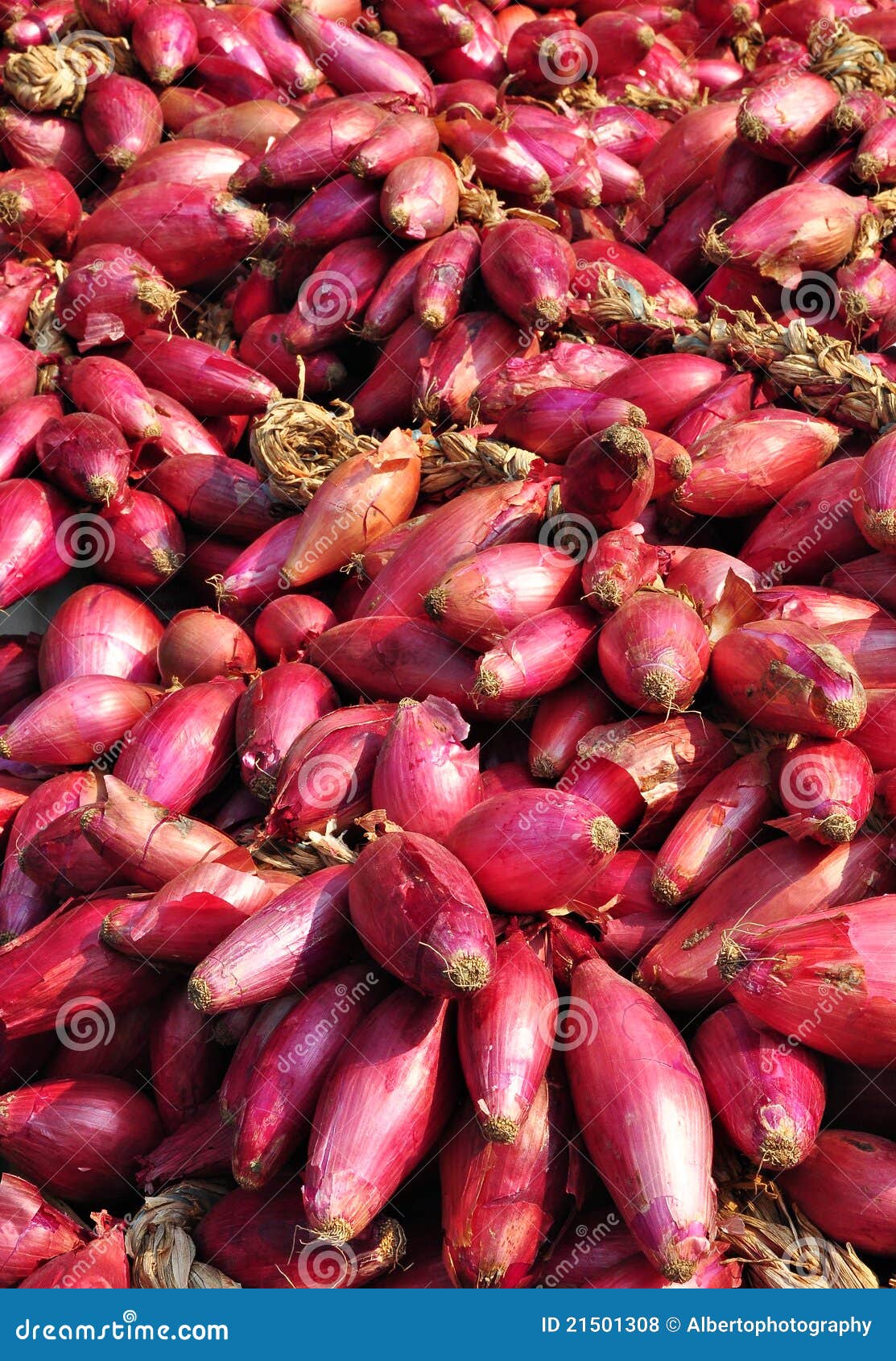 Red onions stock photo. Image of bright, nature, market - 21501308