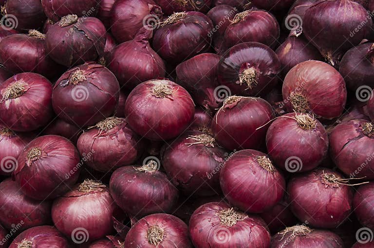Red Onions Crop Texture stock image. Image of grocery - 22156609
