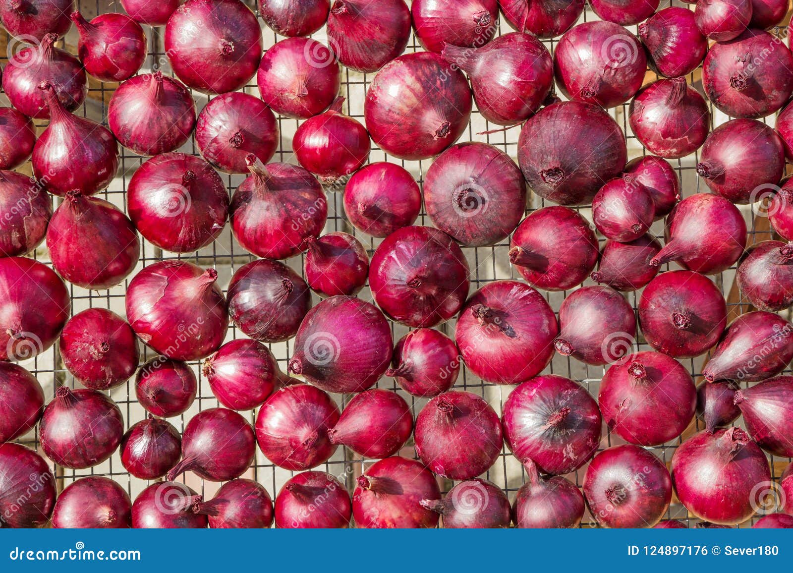 Red Onions is on Drying on Grate Stock Photo - Image of plenty, food ...