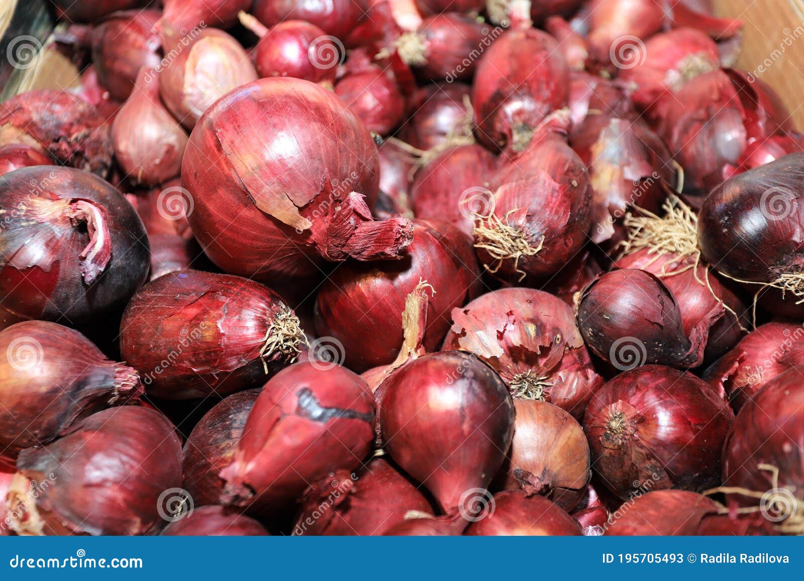 Red Onions, Full Frame Photo. Red Onion Pattern Stock Image - Image of ...