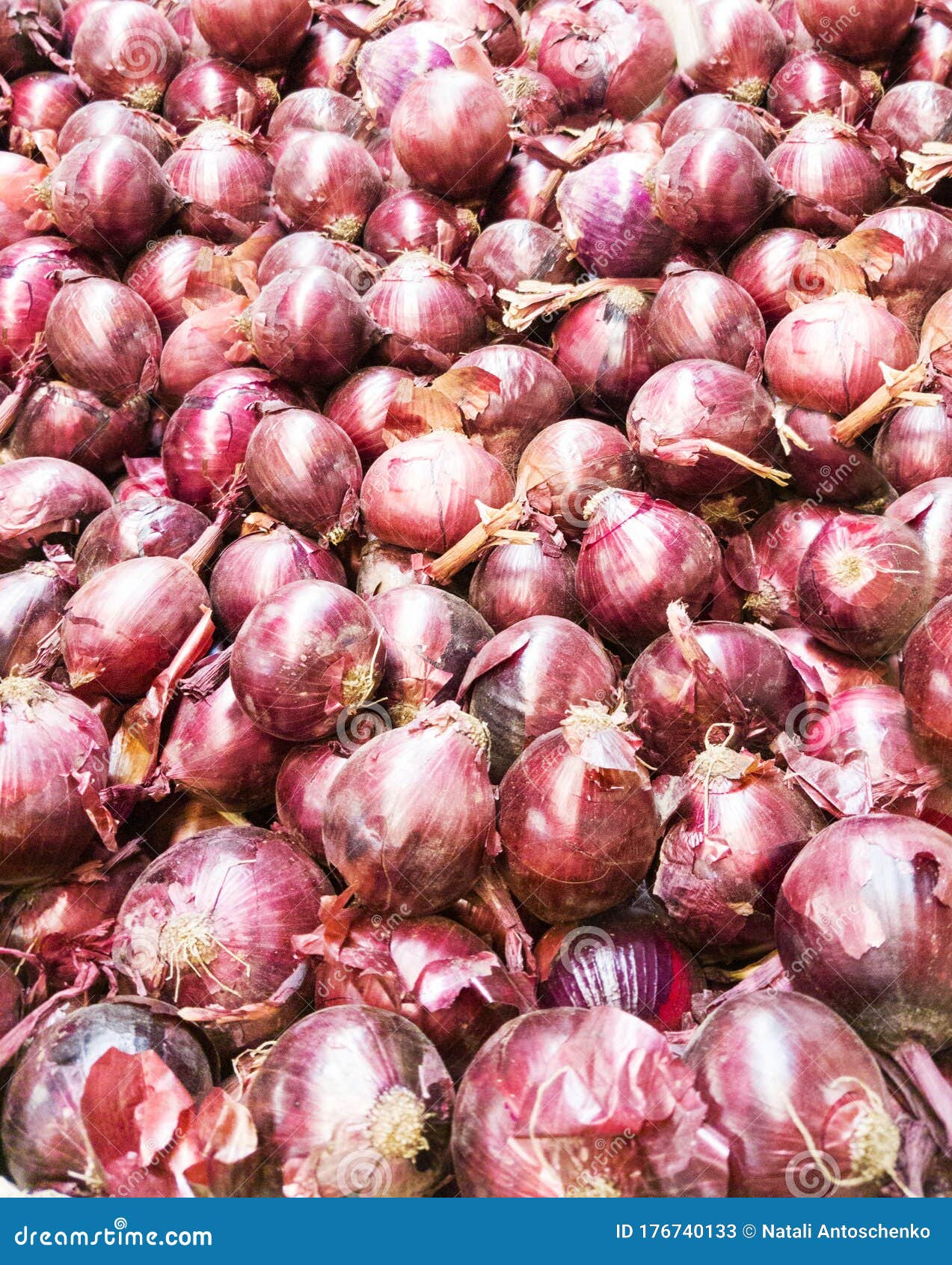 Red onions in plenty stock image. Image of full, nature - 176740133