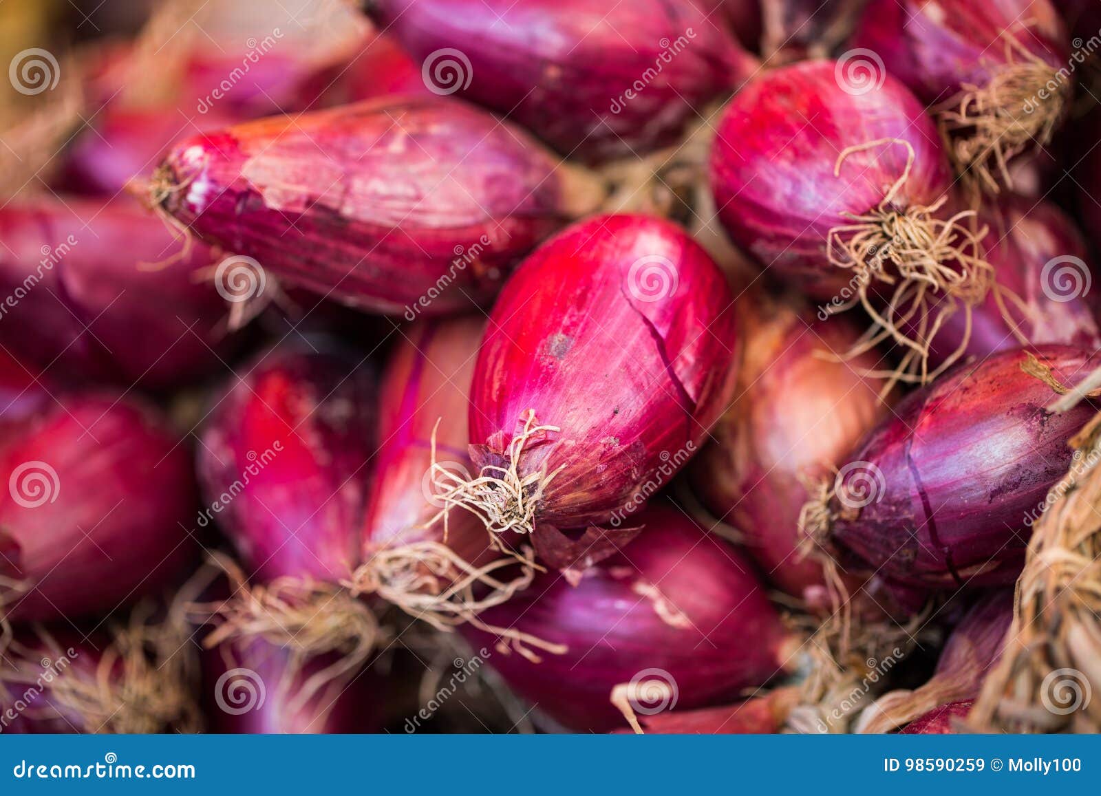 Red onions from Tropea stock image. Image of food, nature - 98590259