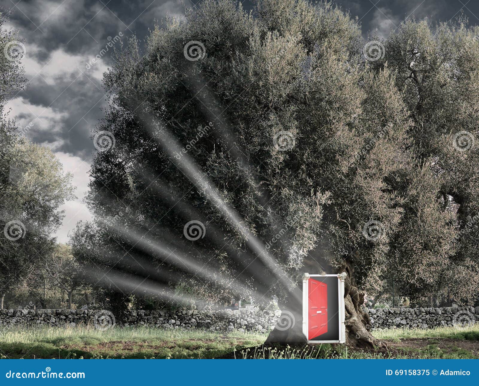 Red open door in the tree. stock image. Image of leaf - 69158375