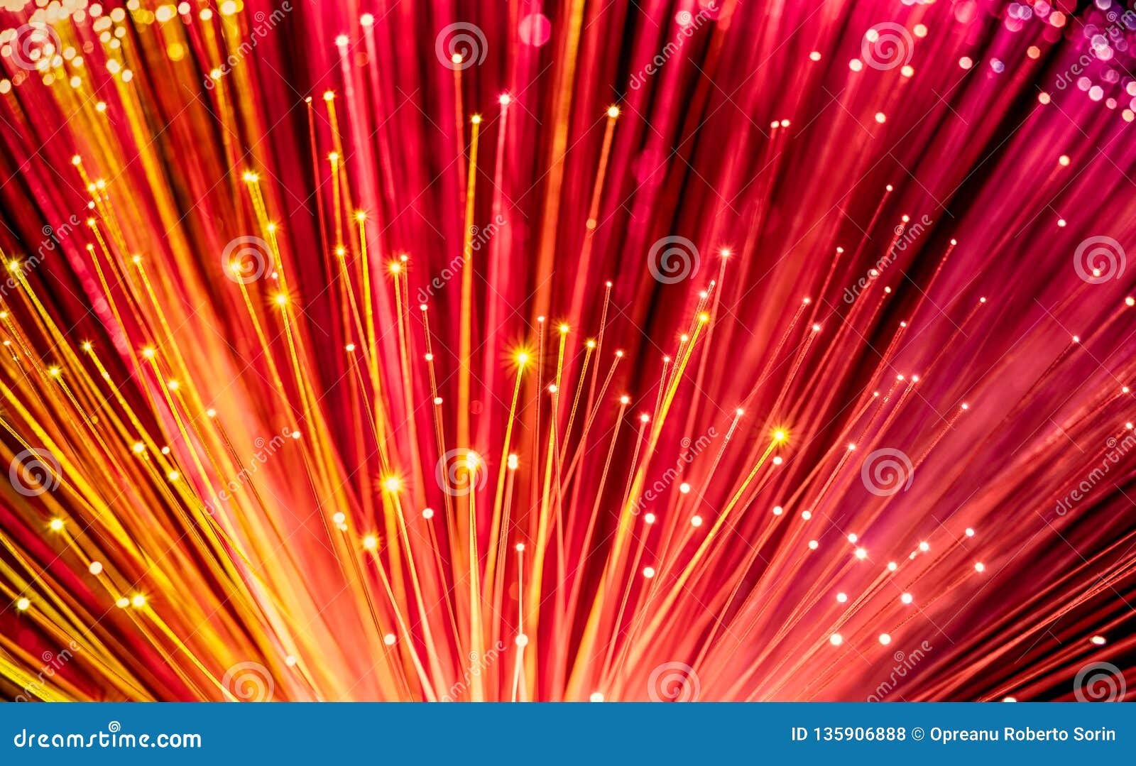Red Optical Fiber Network Cable Stock Photo - Image of global, internet ...