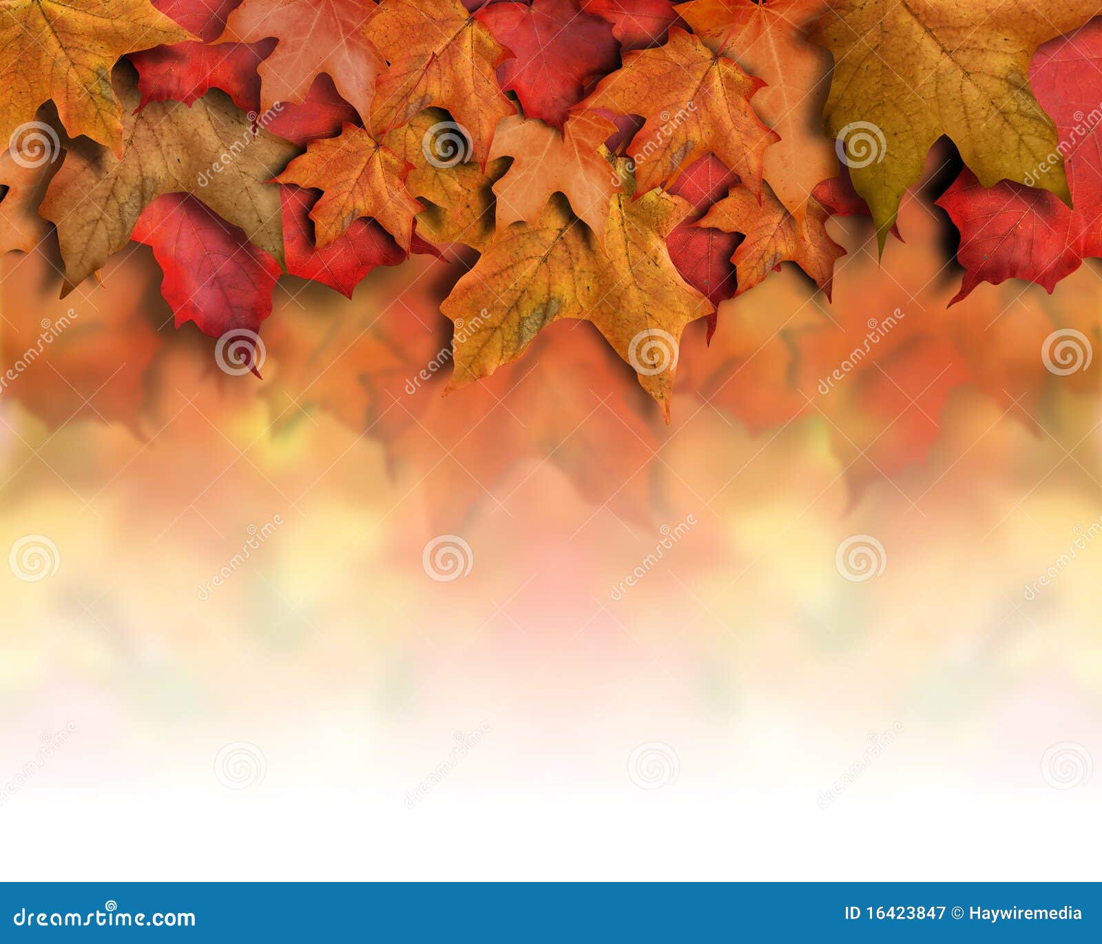Red Orange Fall Leaves Background Border Stock Image - Image of orange ...