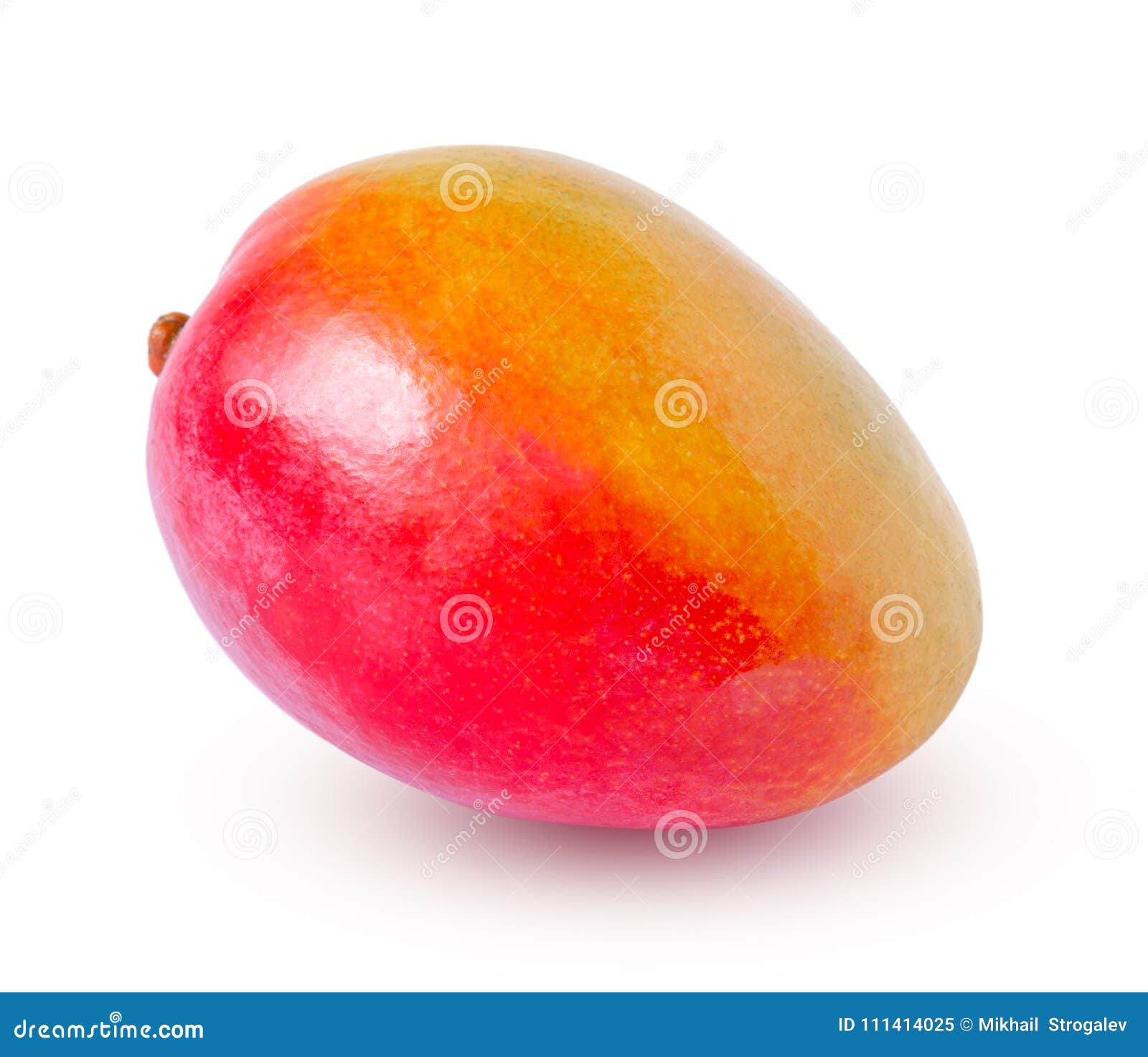 Red Orange Mango with Shadow Isolated on White Stock Image - Image of ...
