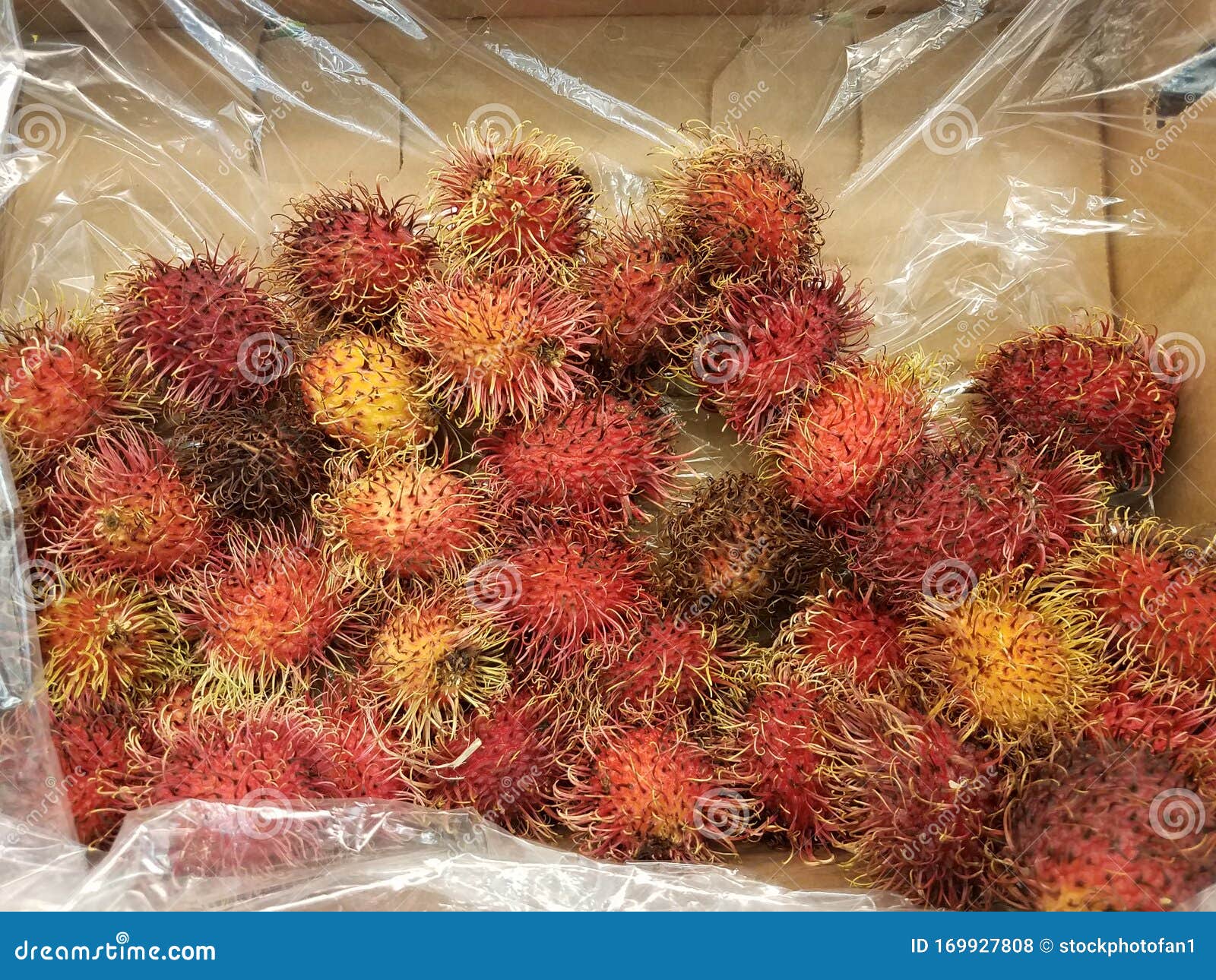 Red and Orange Rambutan Fruit in Box with Plastic Stock Photo - Image ...
