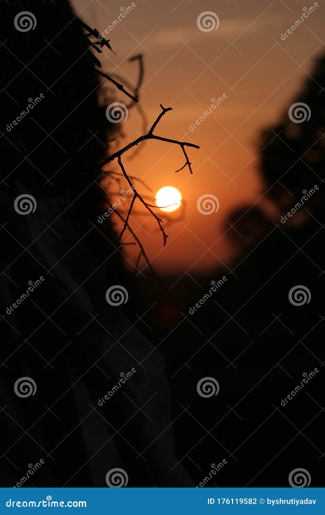 Red-Orange Rising Sun through the Branches of Trees Stock Photo - Image ...