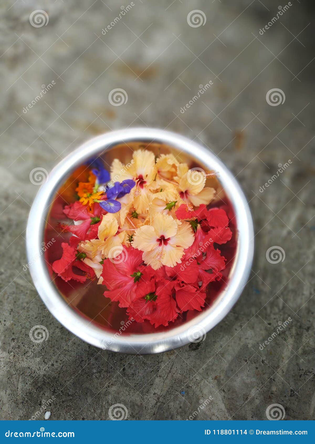 Red and Orange Summer Flower in India Stock Photo - Image of arhul ...
