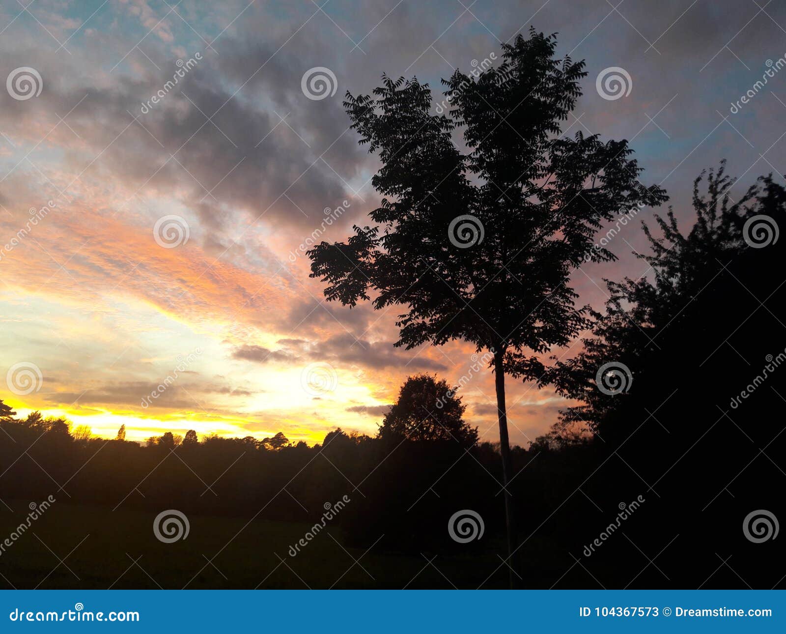 Sunset stock image. Image of trees, tree, blue, orange - 104367573